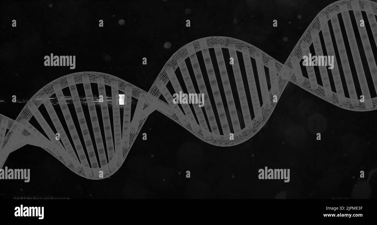 Image of dna strand over black background Stock Photo - Alamy