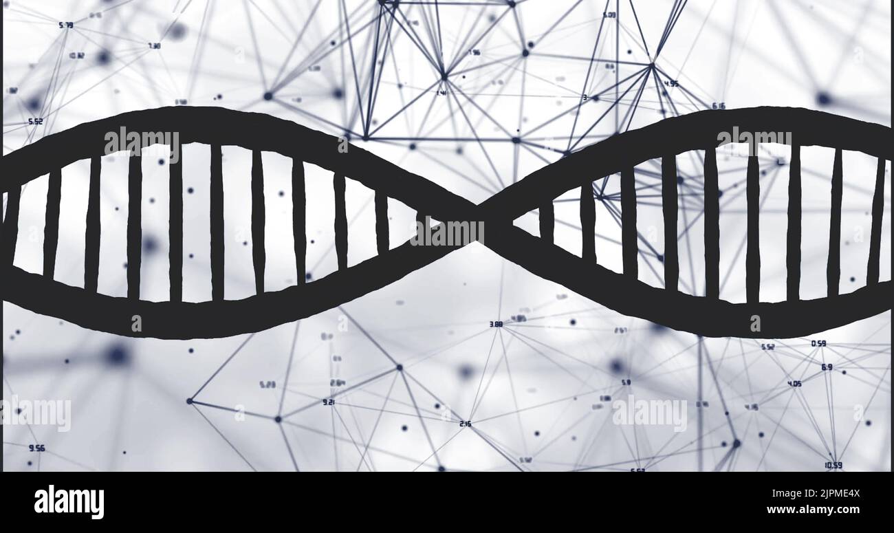 Image of dna strand over white background Stock Photo - Alamy