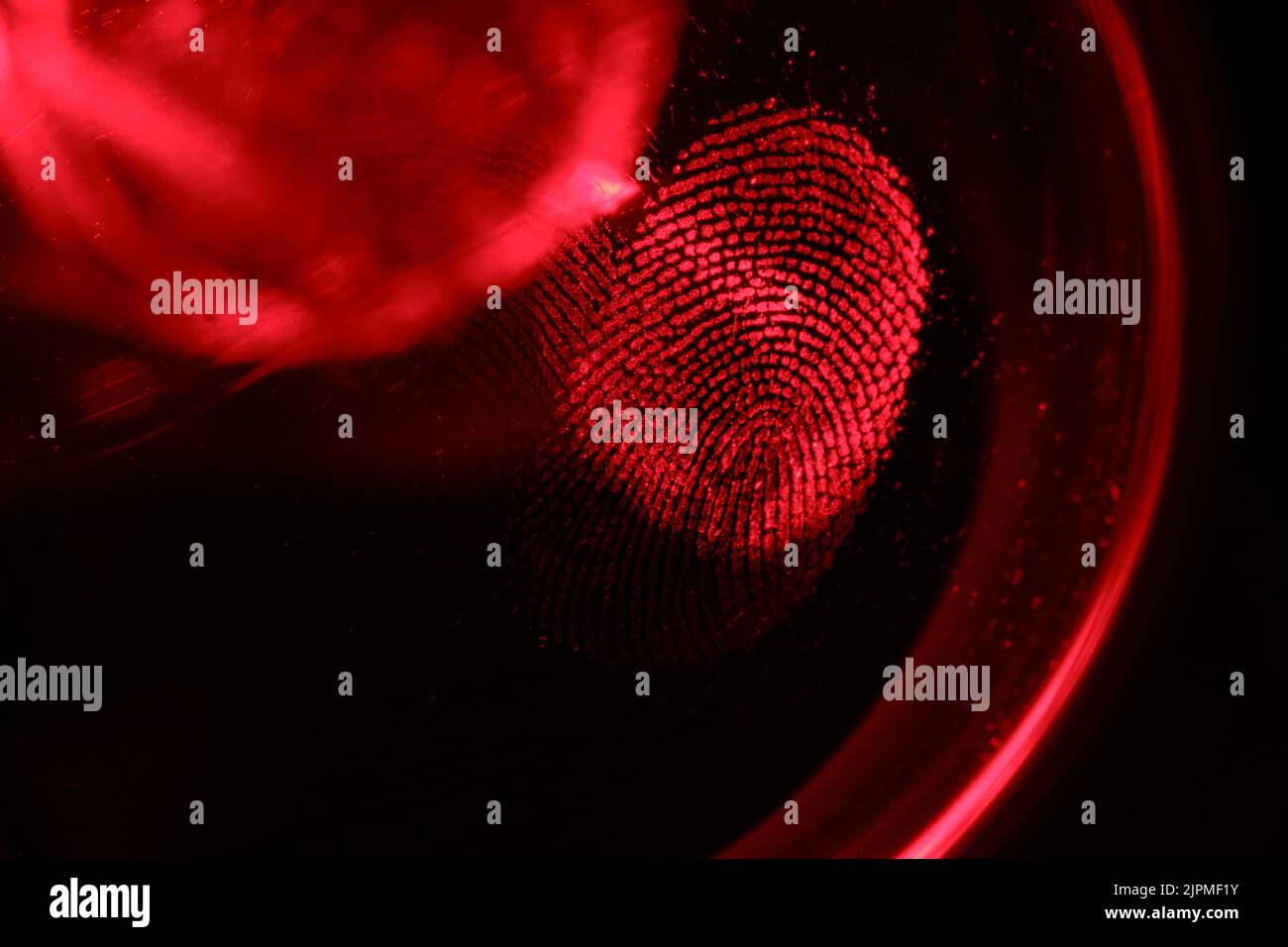 Beautiful abstract RED colored fingerprint on background texture for ...