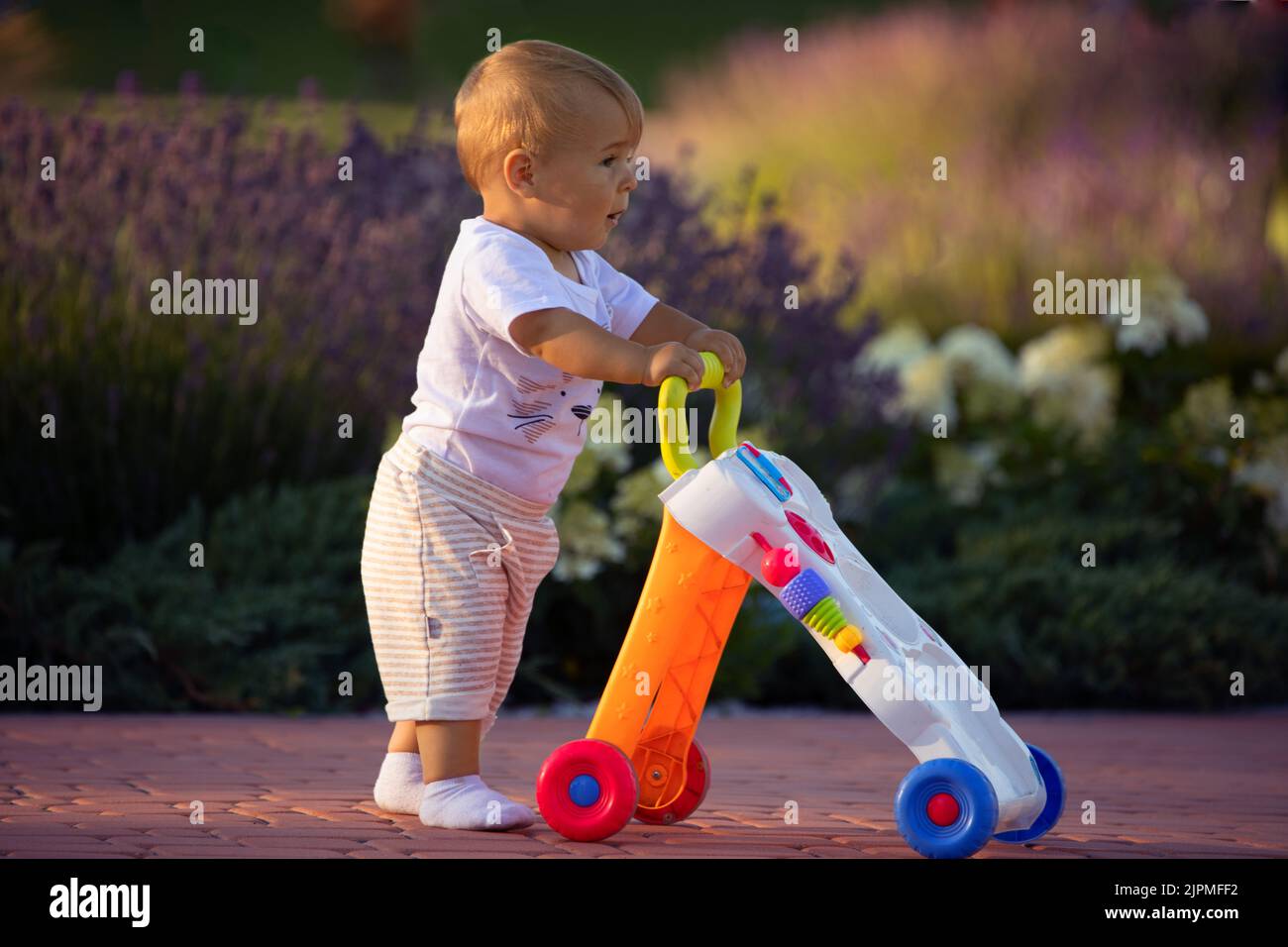 A little boy learns to walk with the help of a wheelchair. Rest in the ...