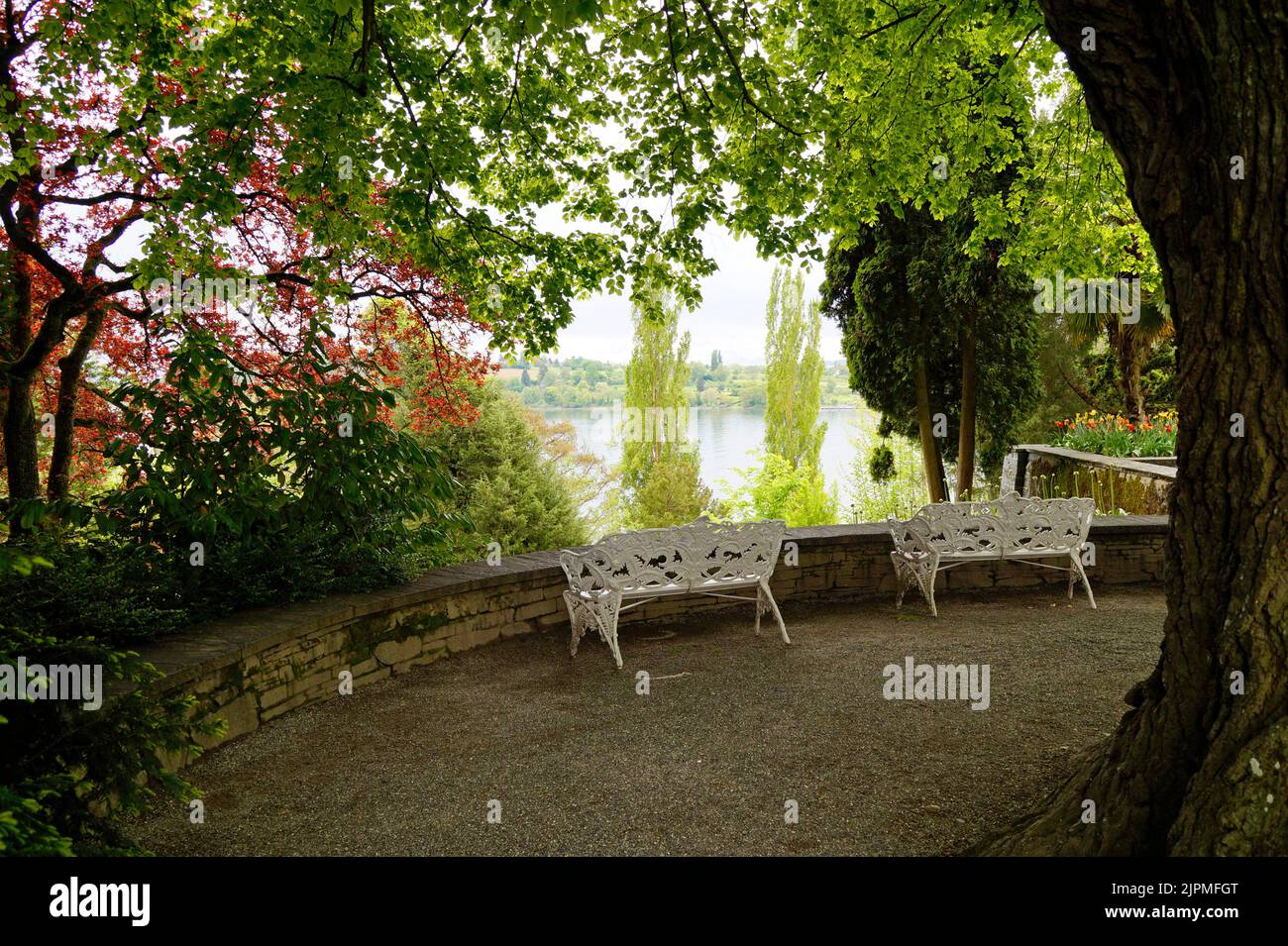 two beautiful white benches by lake Constance (Bodensee) on island ...
