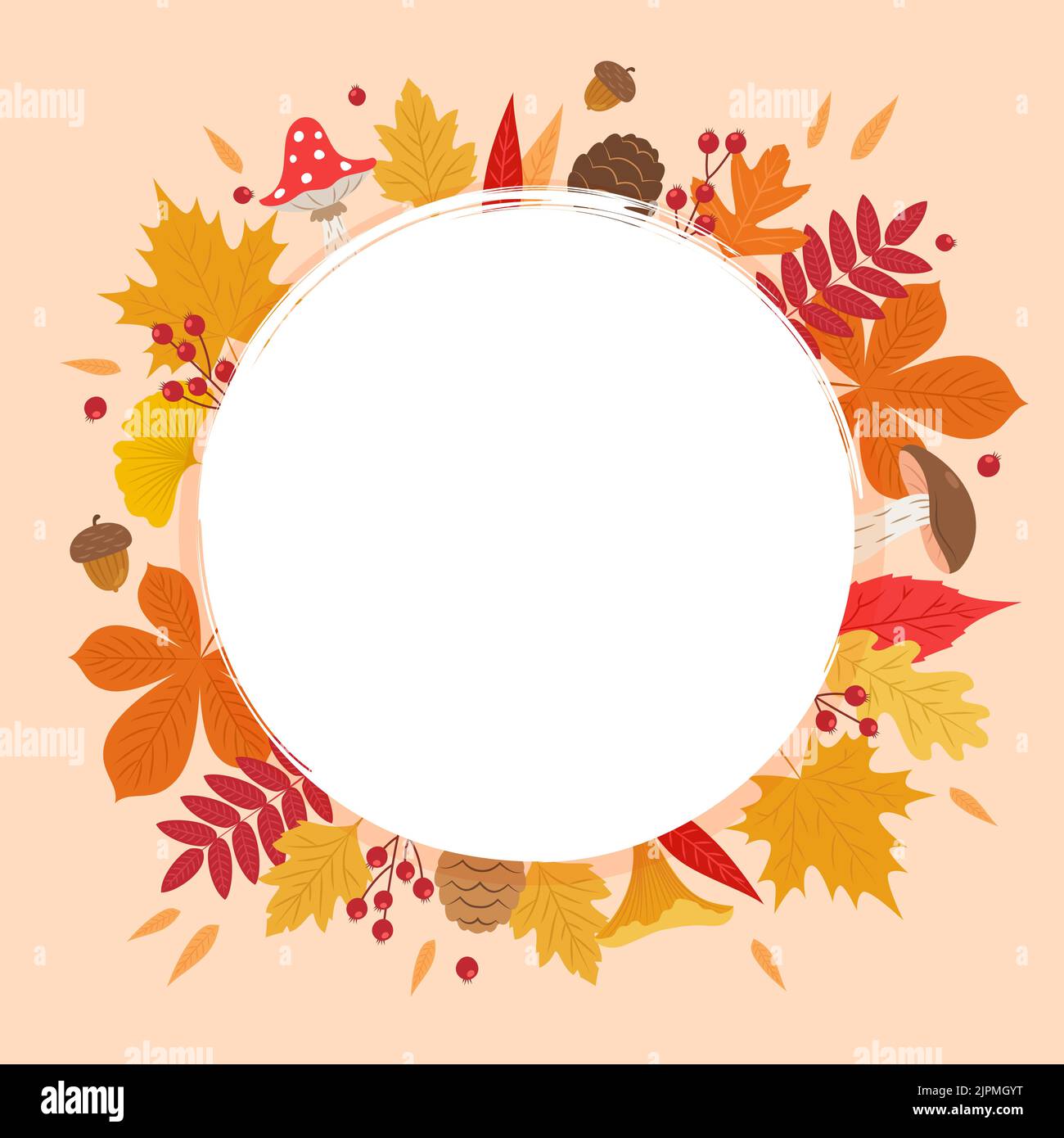 Autumn leaves frame, circular shape with different kind of leaves ...