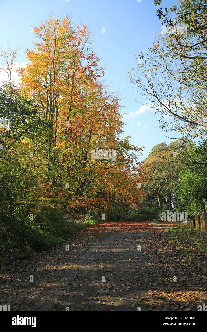 Coleorton hall hi-res stock photography and images - Alamy