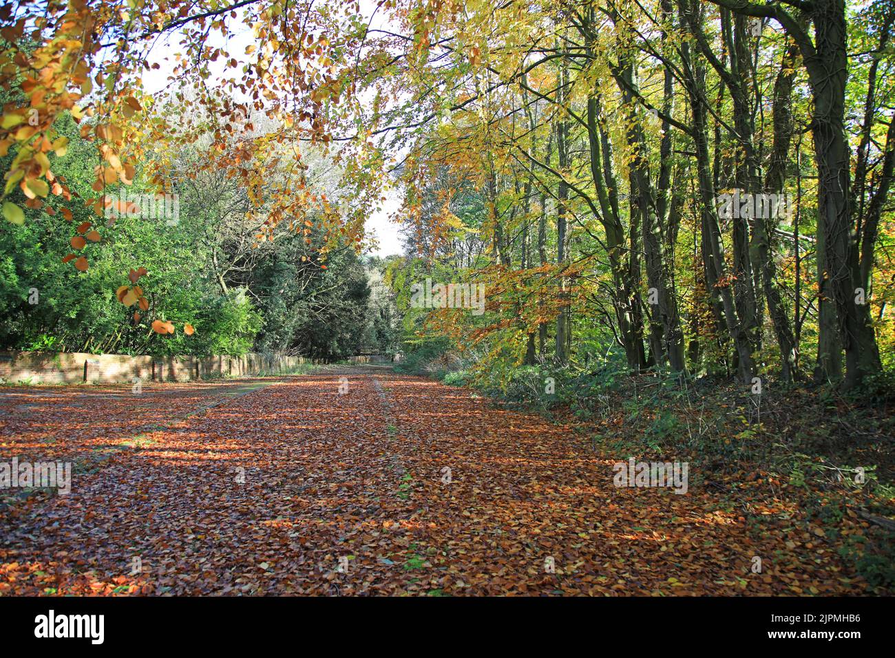 Coleorton hall hi-res stock photography and images - Alamy