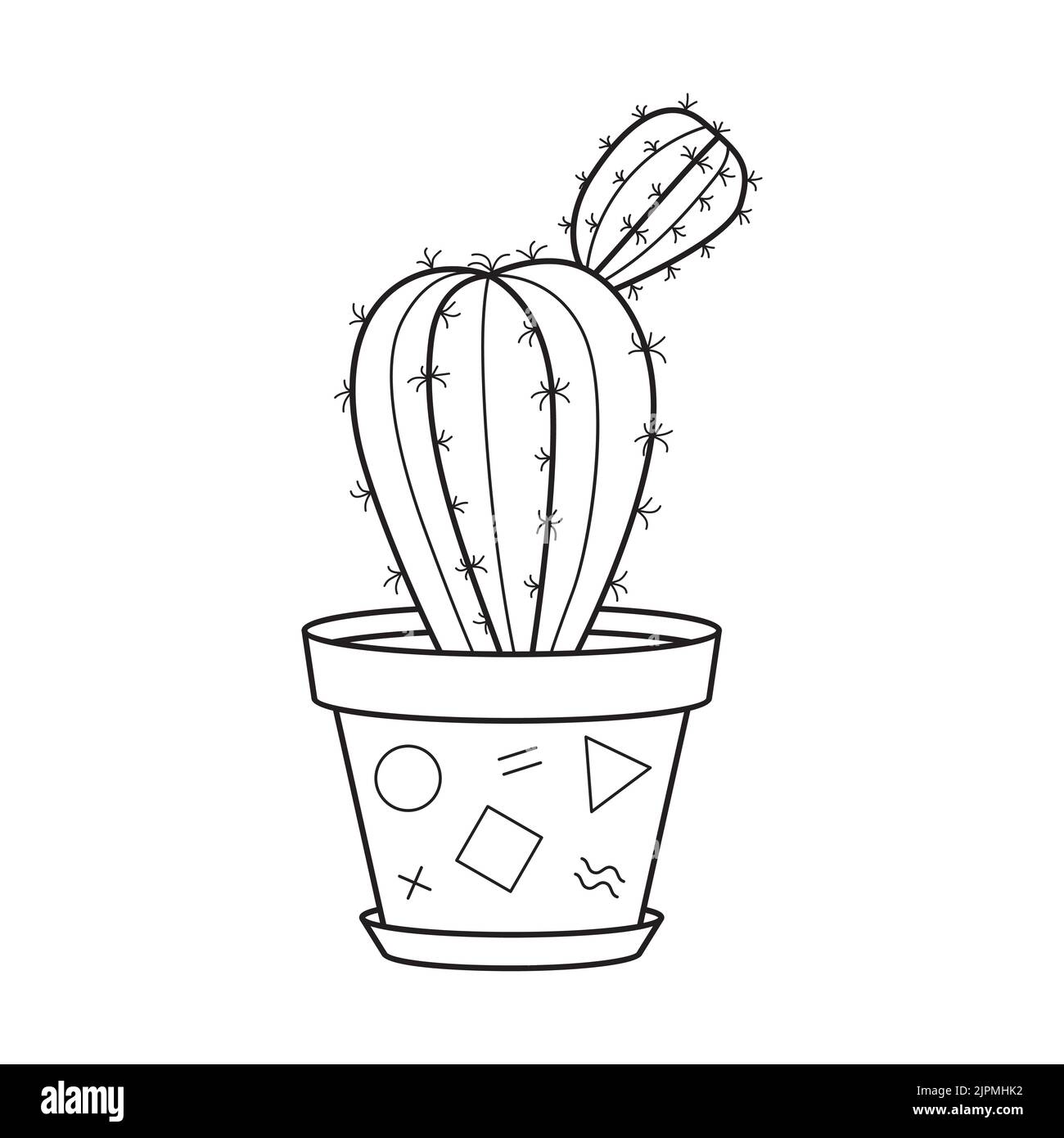 Linear plant hi-res stock photography and images - Alamy