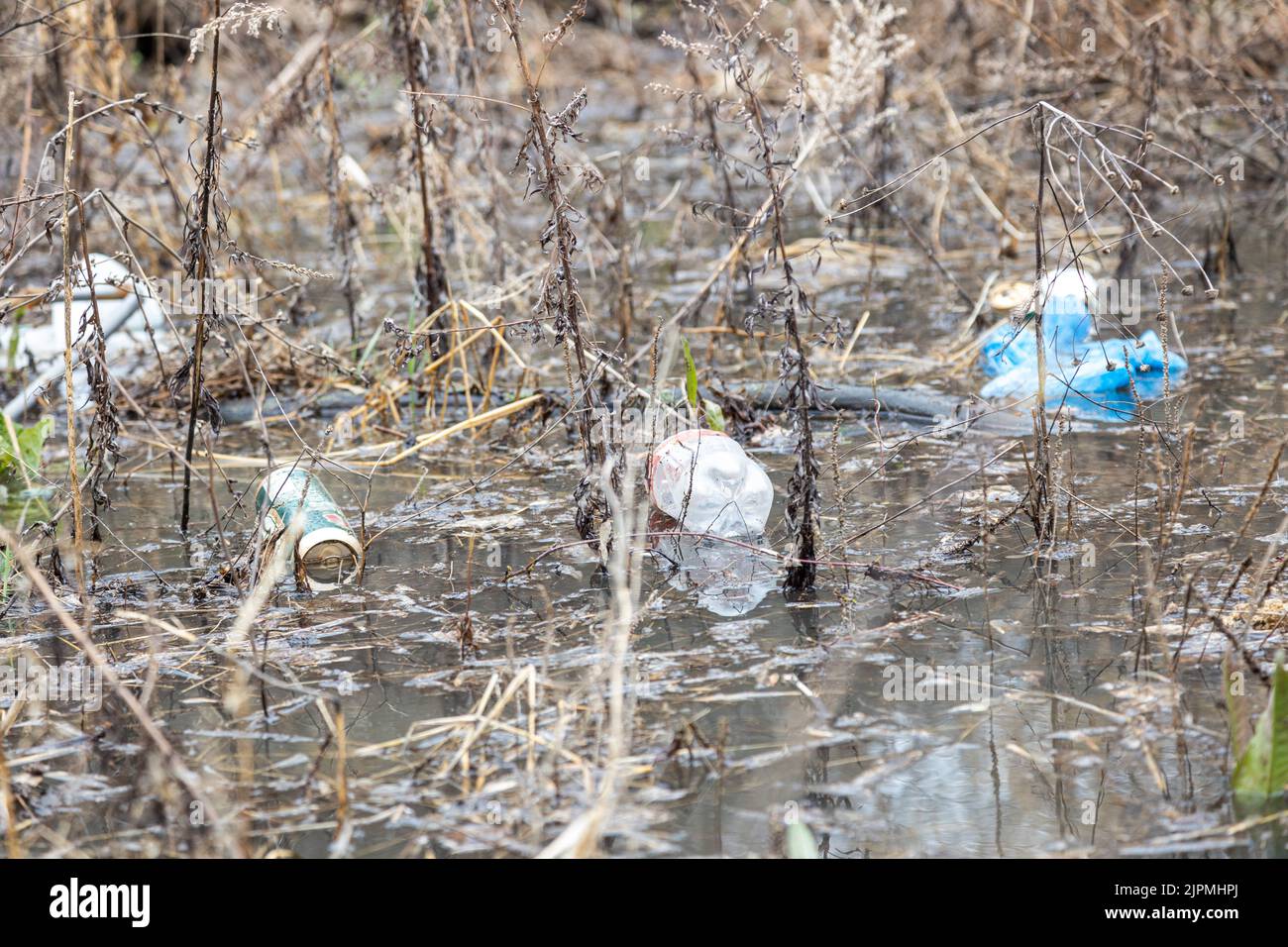 Abandoned garbage plastic and glass waste in nature among the grass ...