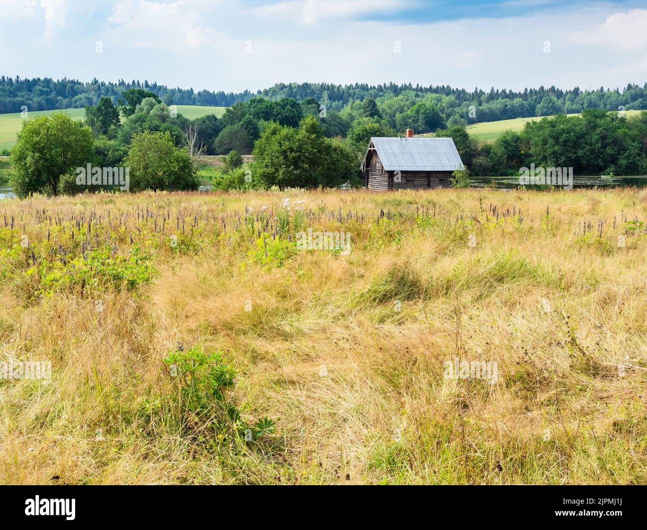 Old overgrown rural meadow hi-res stock photography and images - Alamy