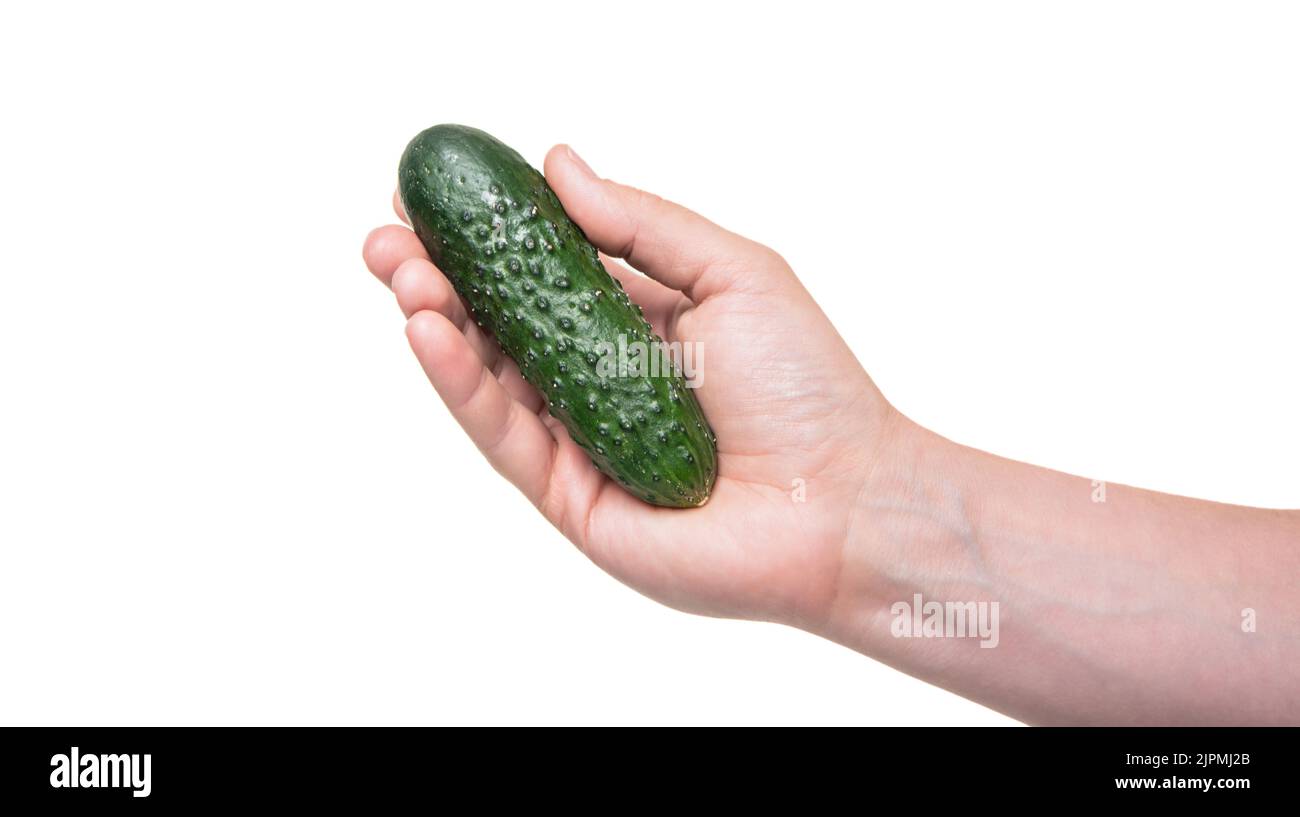 cucumber vegetable in hand isolated on white background Stock Photo - Alamy