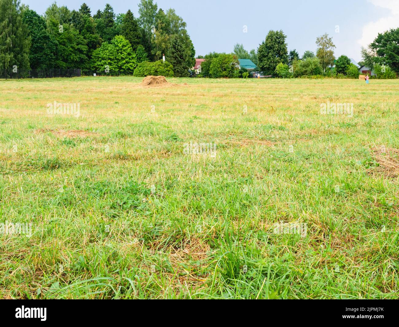 surface of mowed field on edge of village after summer rain Stock Photo ...