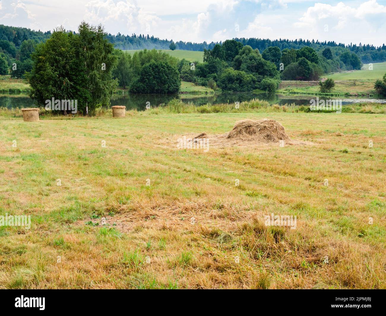 scattered hay stack on mowed field near river after summer rain Stock ...