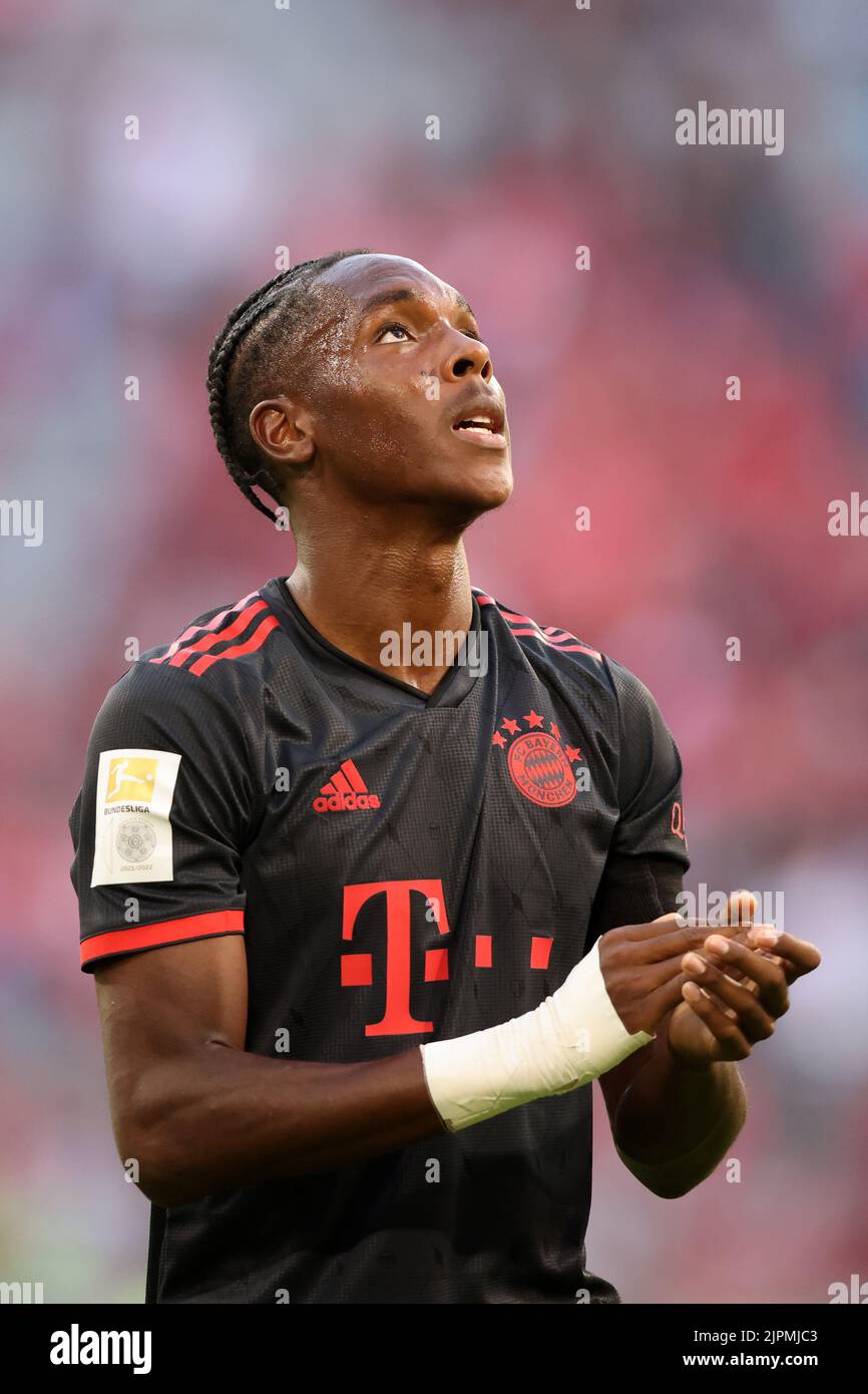 Mathys Tel of FC Bayern Muenchen FC Bayern München - VfL Wolfsburg ...