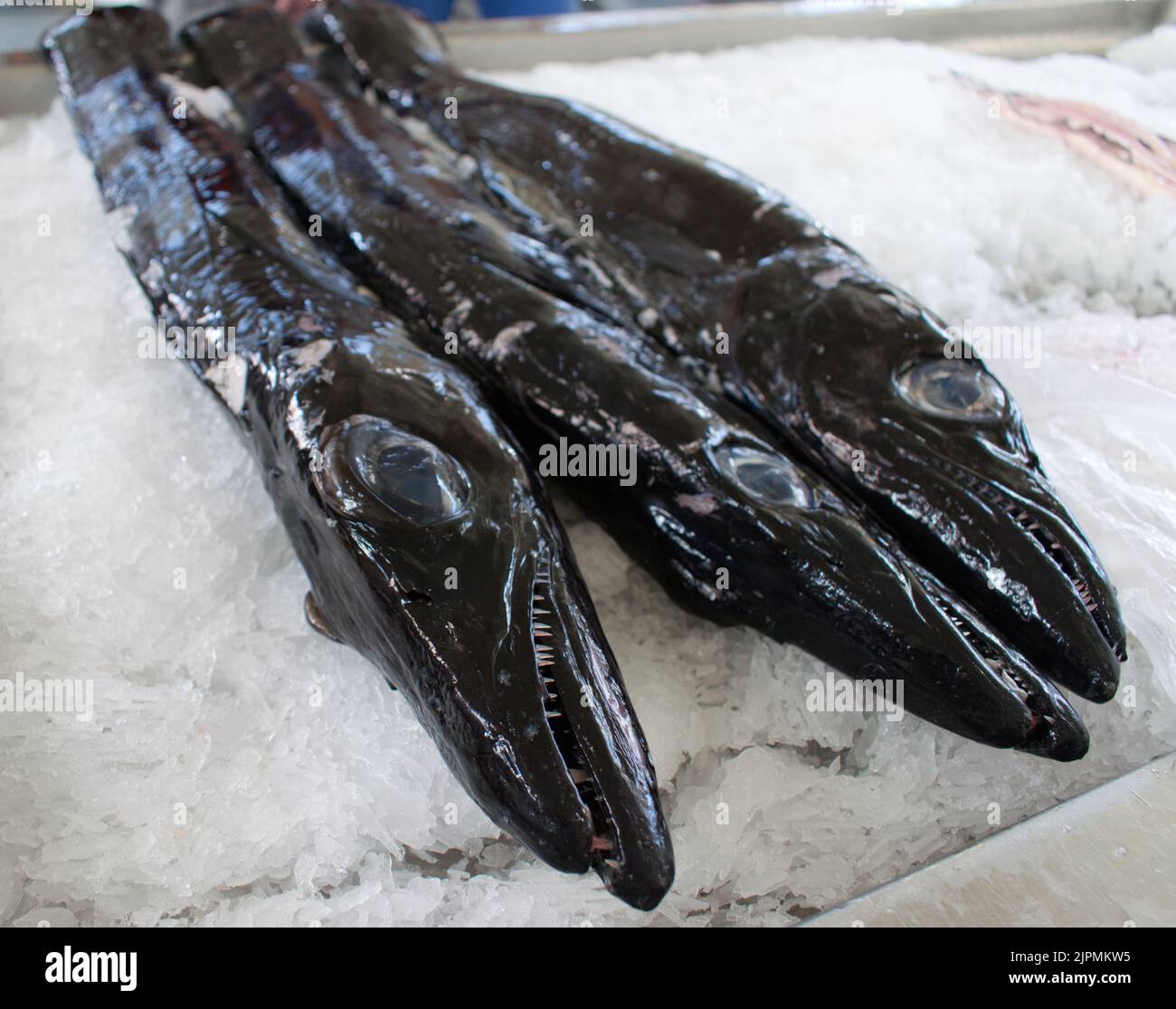 Photo of black scabbard fish Stock Photo - Alamy
