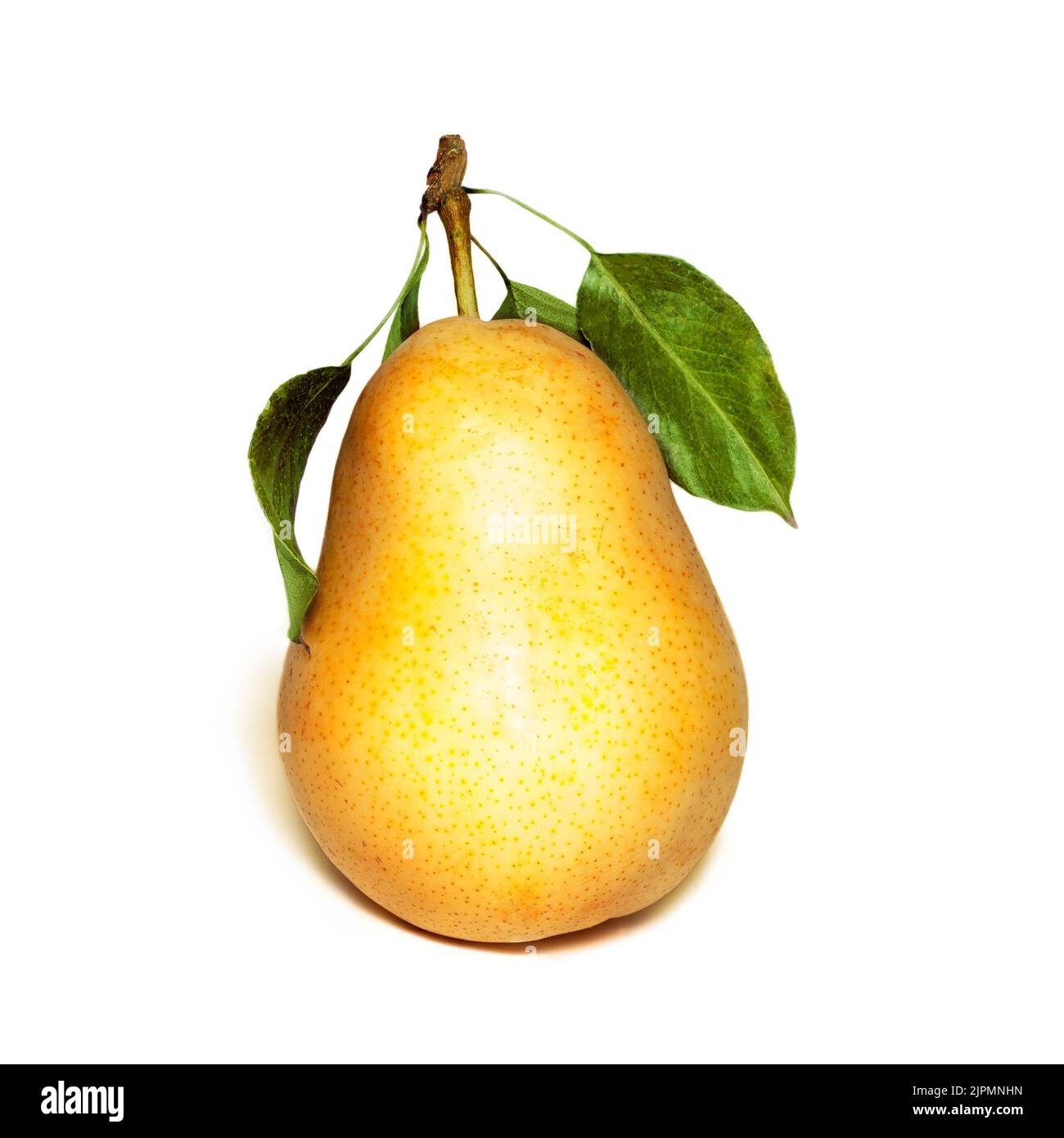 One yellow ripe pear isolated on white background. Dessert for cooking ...