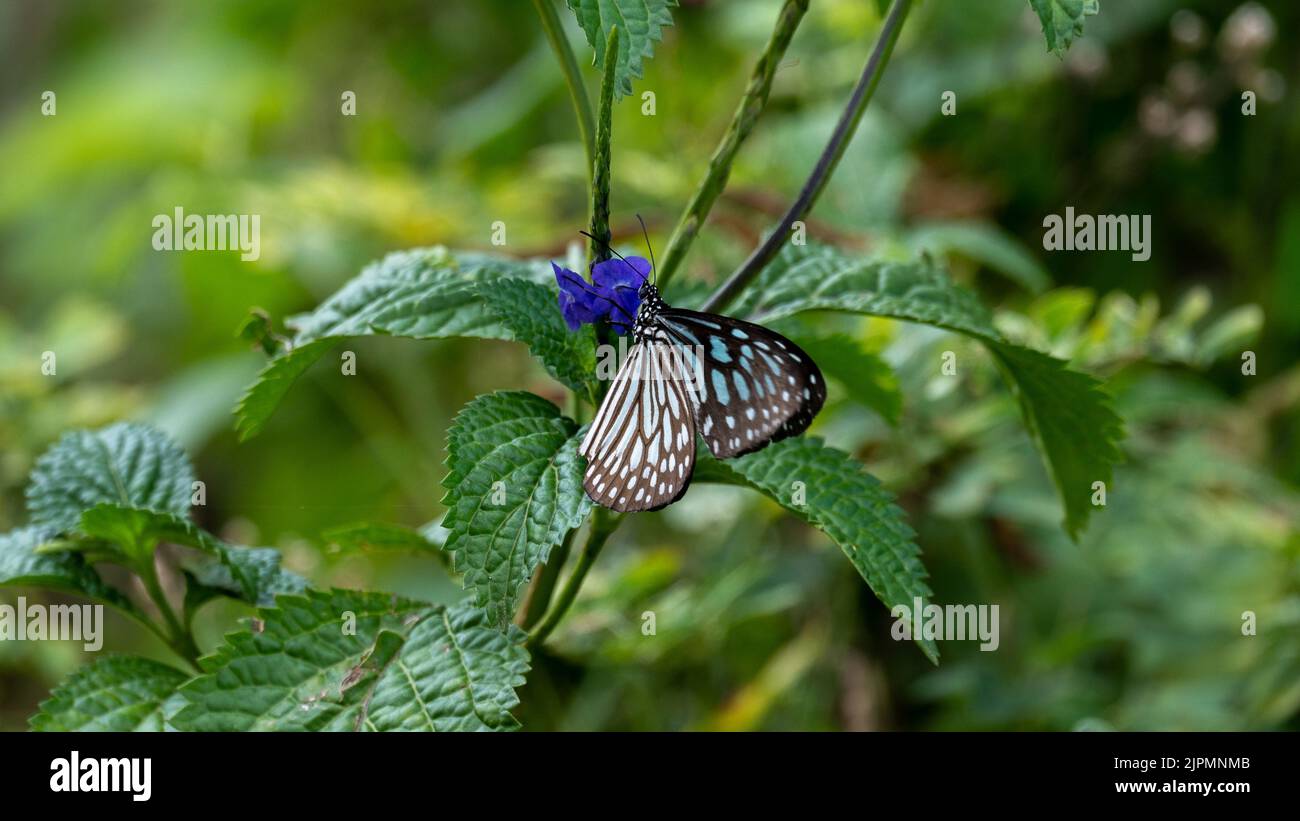 Nature helps us to grow, and transform into the best and most beautiful ...