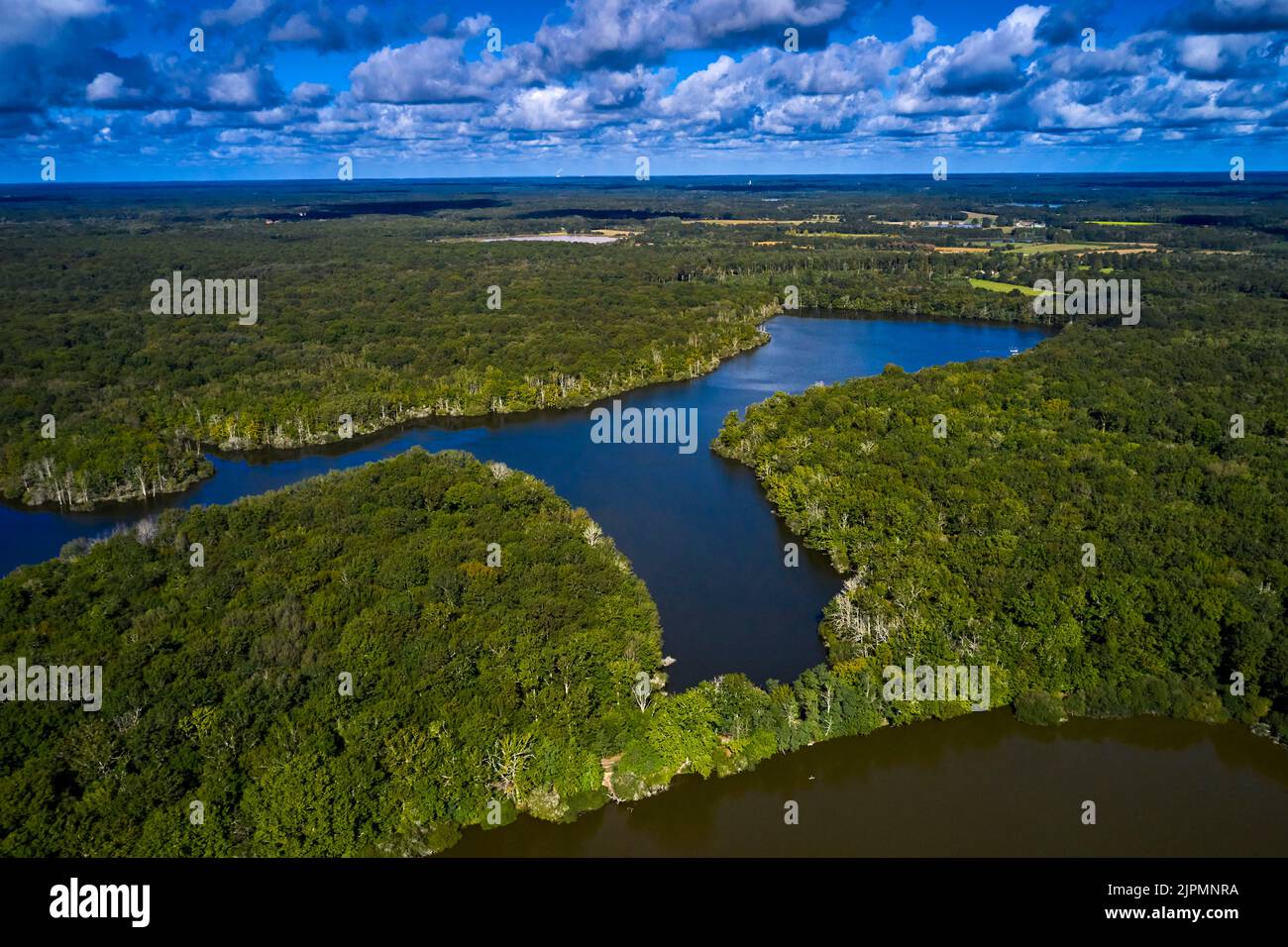 Sologne forest hi-res stock photography and images - Alamy