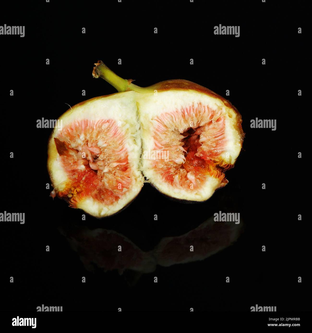 a fresh fig fruit opened isolated on glassy reflection black background ...