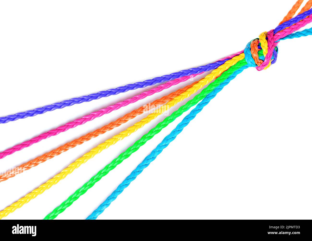 Six multicolored braided cords converge in one knot isolated on white ...