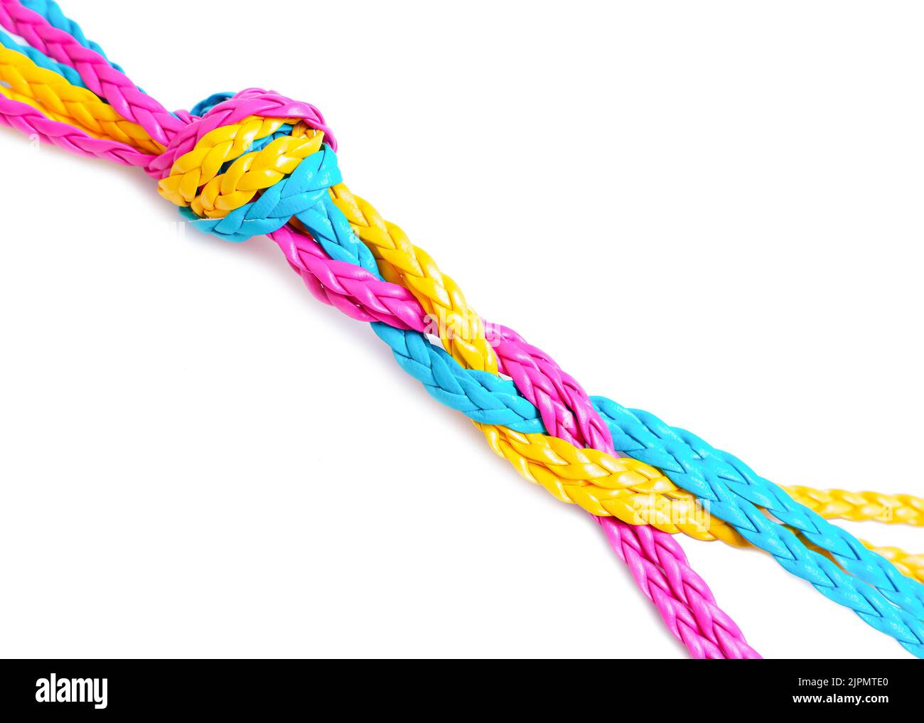 Group of multicolored flat leather cords braided together isolated on ...