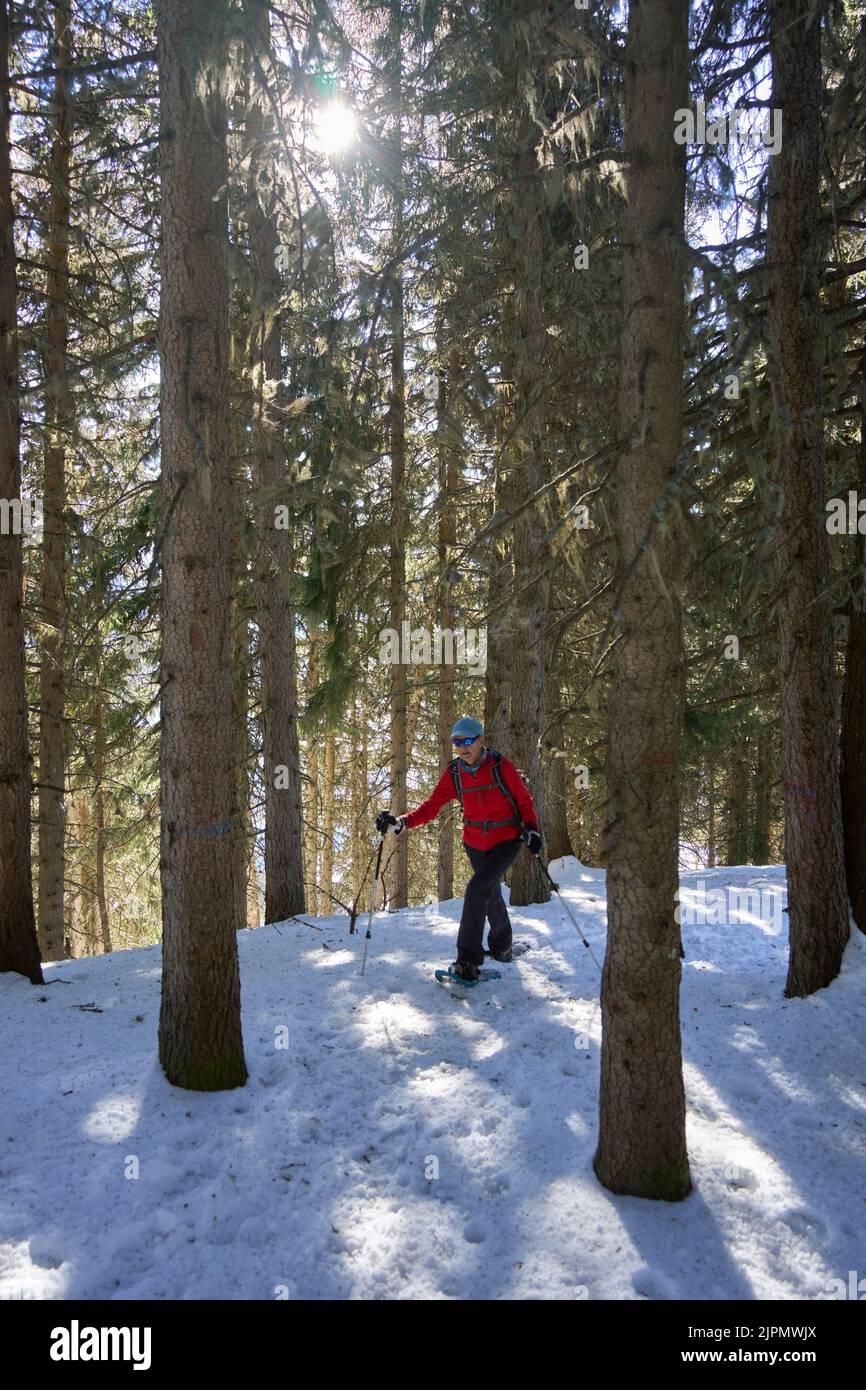 A vertical shot of a snowshoe runner with trees in the background in ...