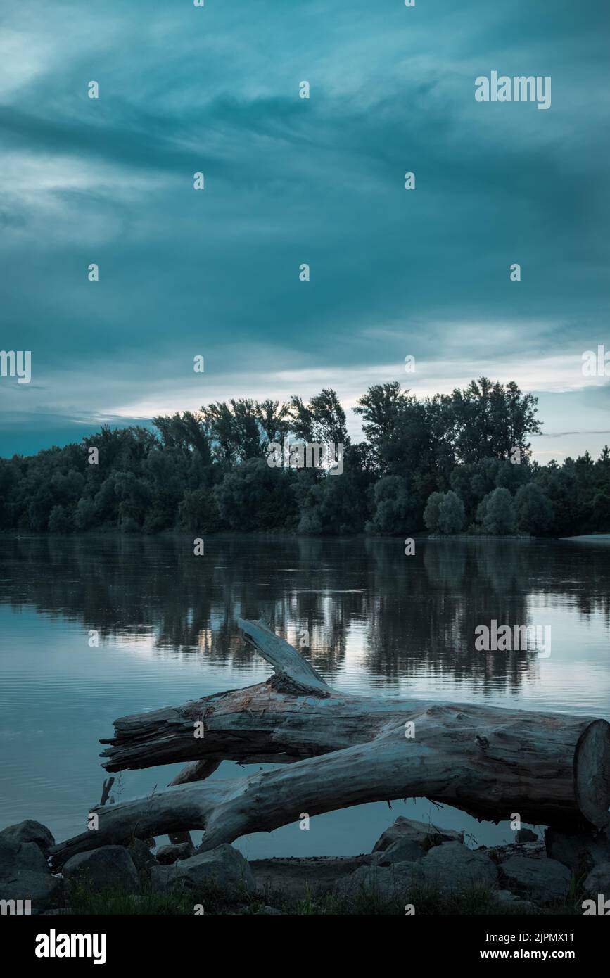 The vertical view of trees by the lake under the cloudy sky Stock Photo ...