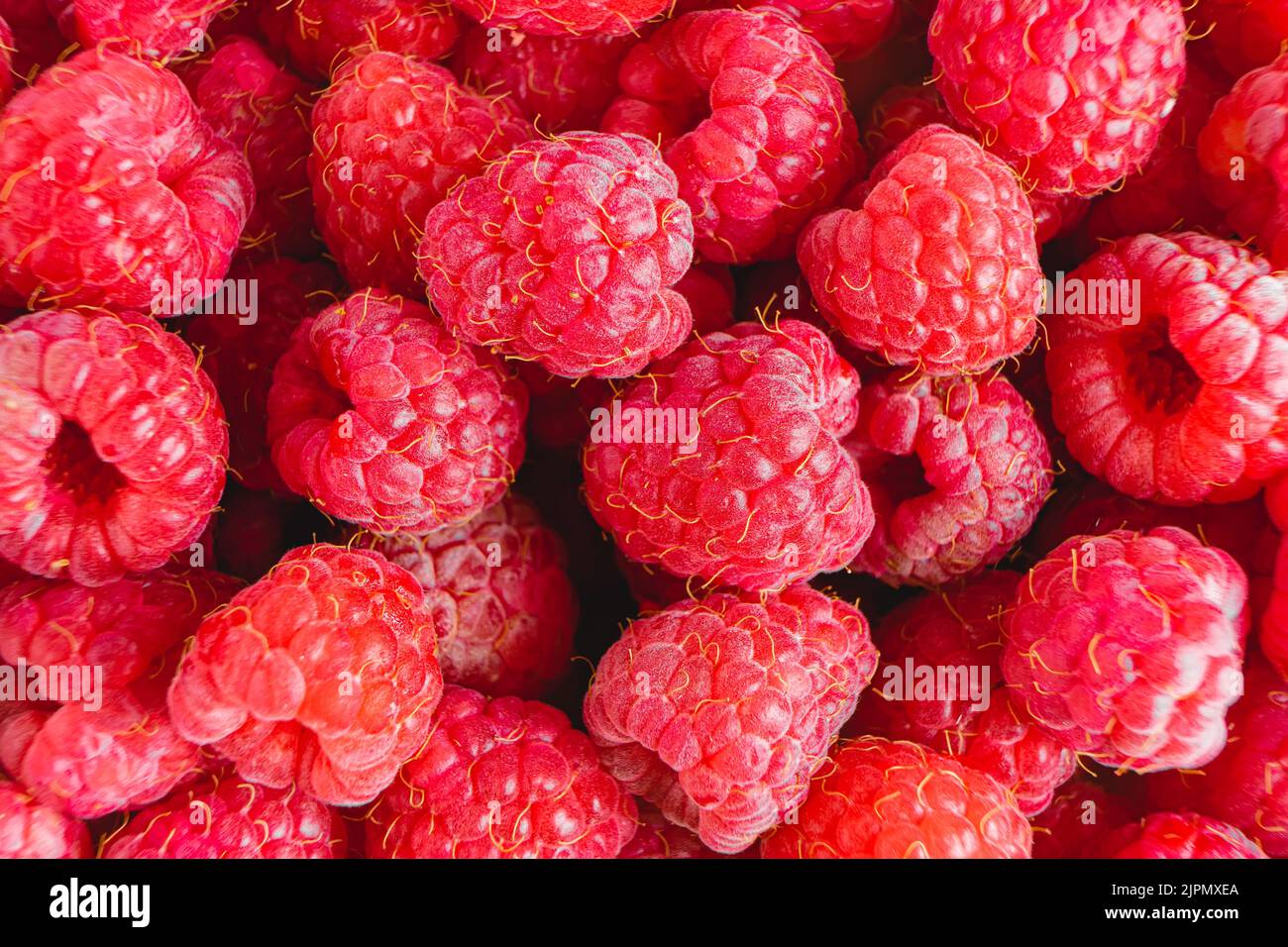 Fresh and sweet red raspberries close up texture background Stock Photo ...