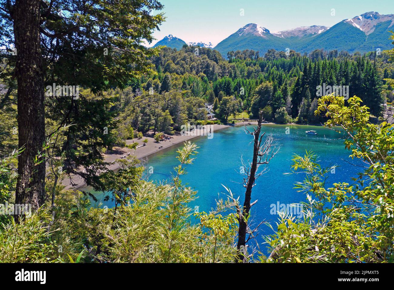 Bosque de la bahía hi-res stock photography and images - Alamy