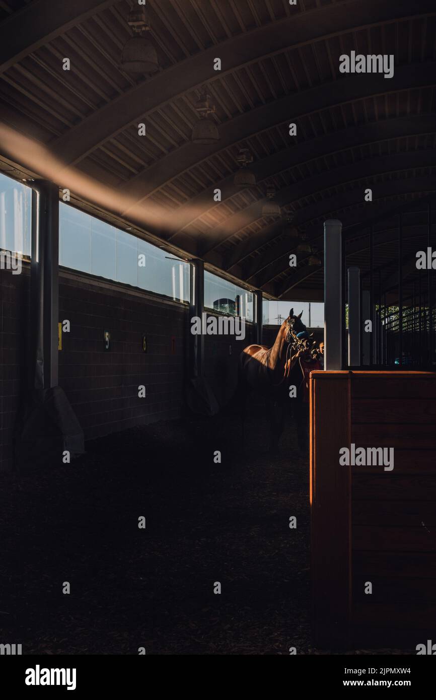 Horse stable racing hi-res stock photography and images - Alamy