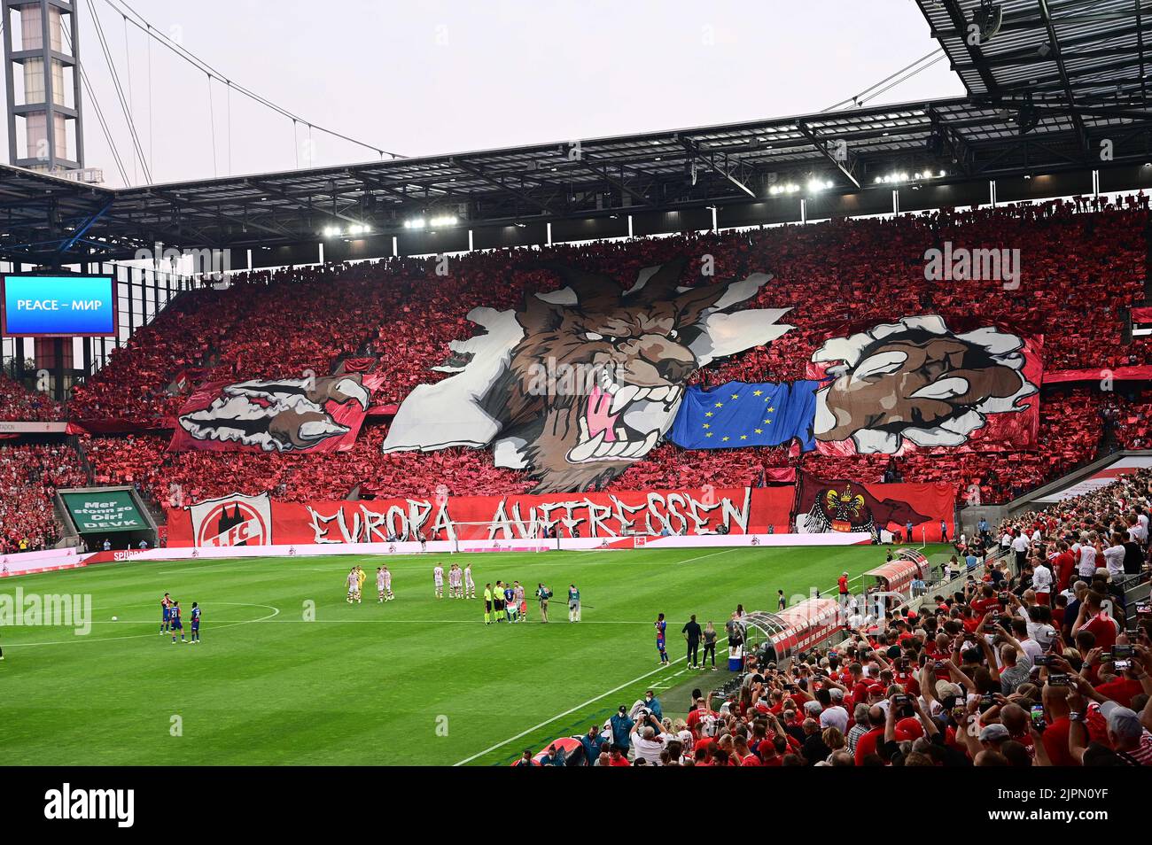 KOELN, GERMANY - AUGUST 17, 2022: Supporters of Koeln. The football ...
