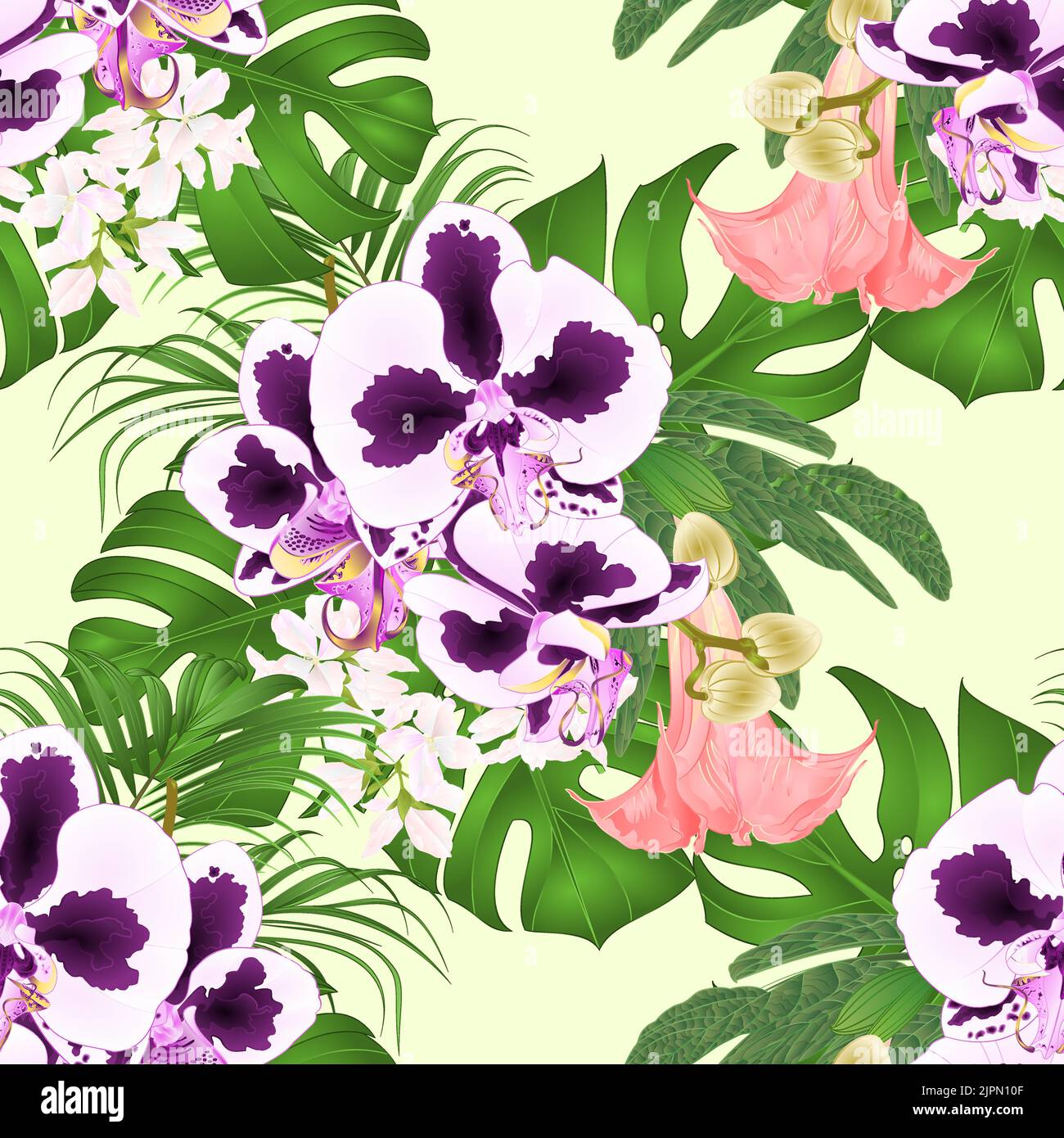 Seamless Texture Bouquet With Tropical Flowers Floral Arrangement With