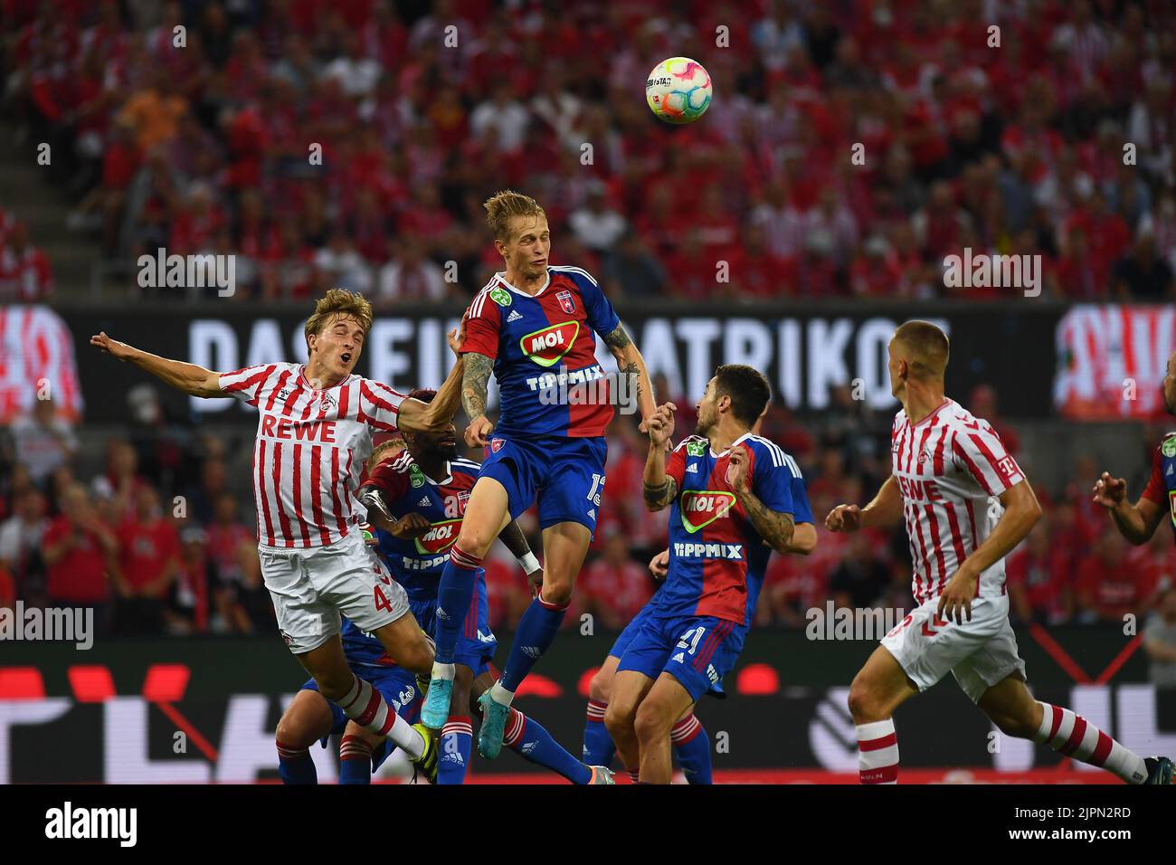 Timo hubers 1 fc cologne hi-res stock photography and images - Alamy