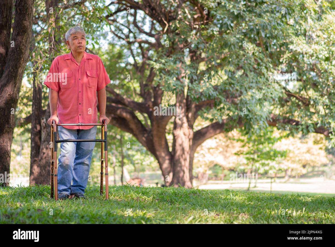 Happy old elderly Asian man uses a walker and walks in the Park ...
