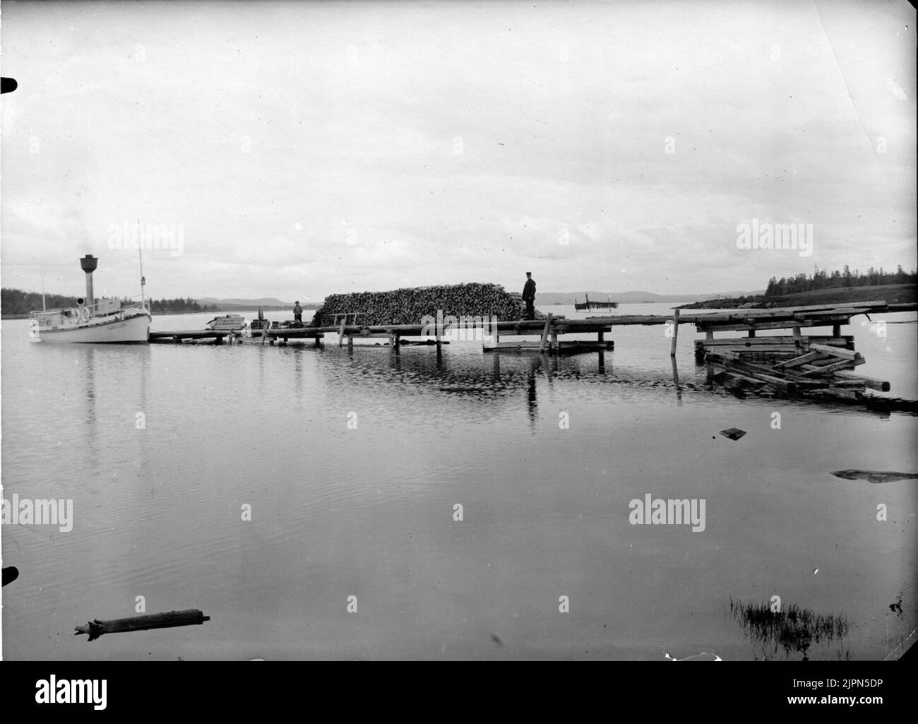 Residence for cereal, Motacilla a. Alba, under the wood where the boy ...