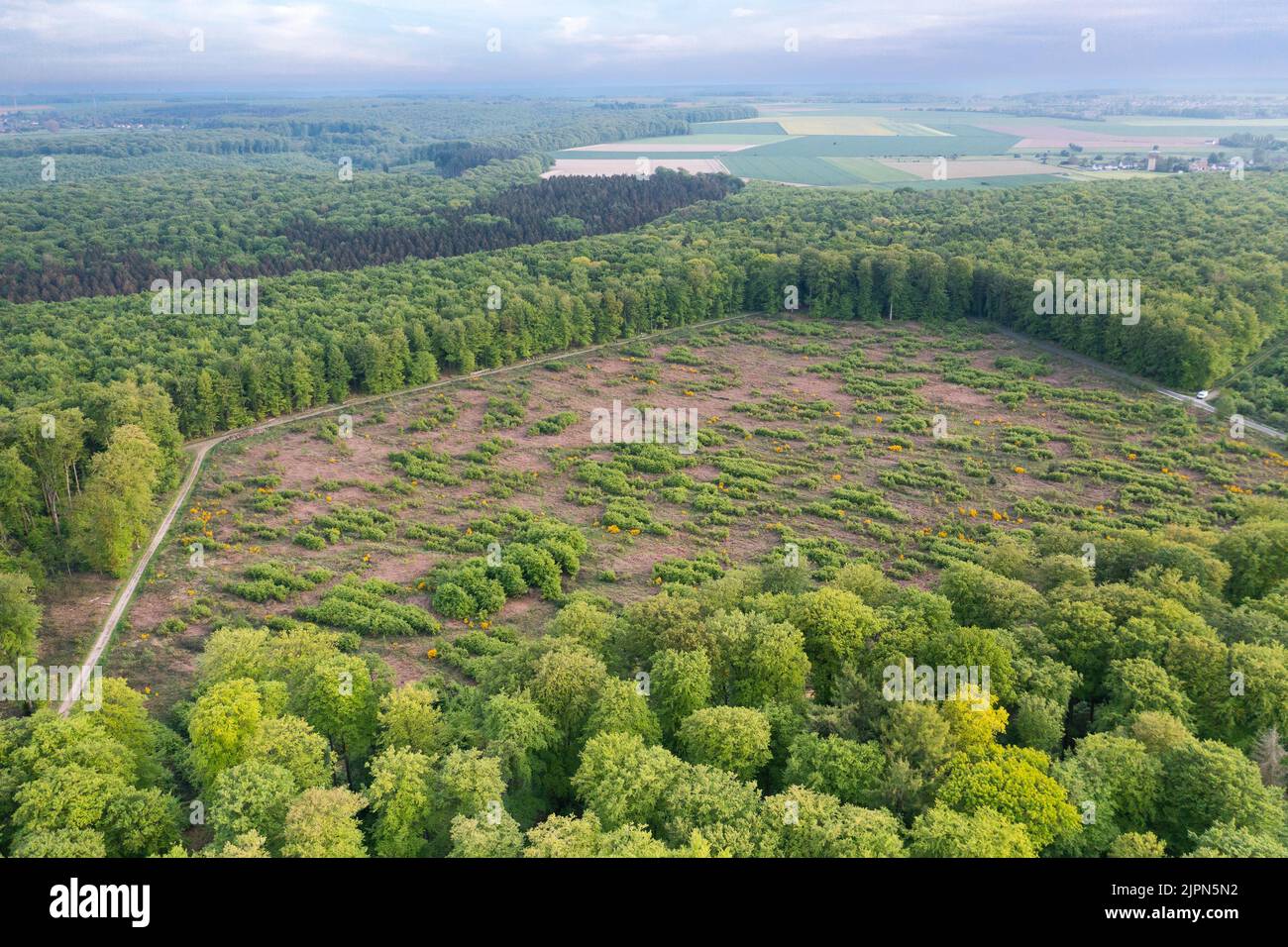 France normandy forest hi-res stock photography and images - Alamy