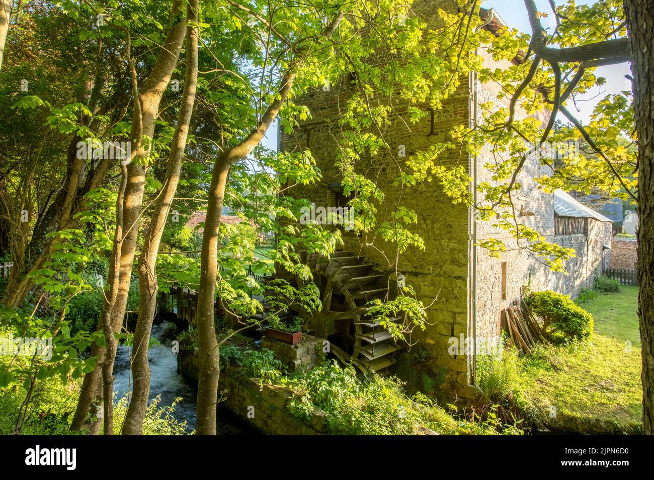 France, Seine-Maritime, Cote d'Albatre, Pays de Caux, Veules les Roses ...