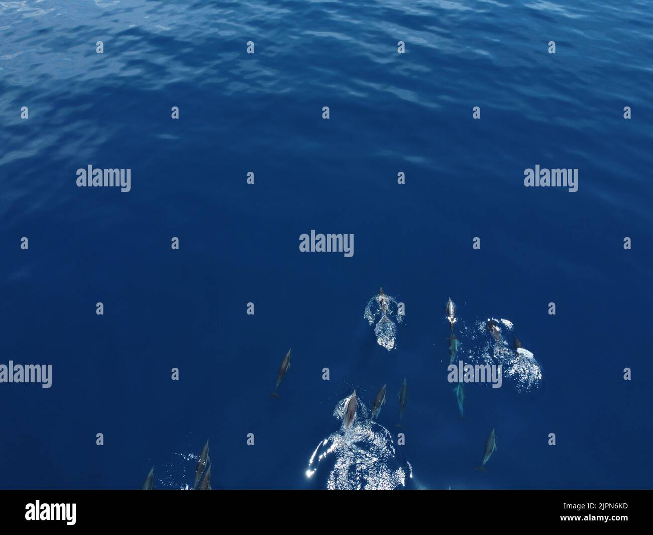 Superpod hi-res stock photography and images - Alamy