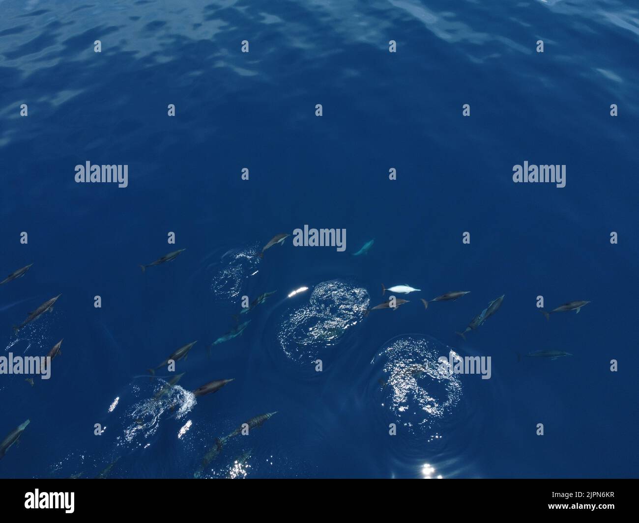 Superpod hi-res stock photography and images - Alamy