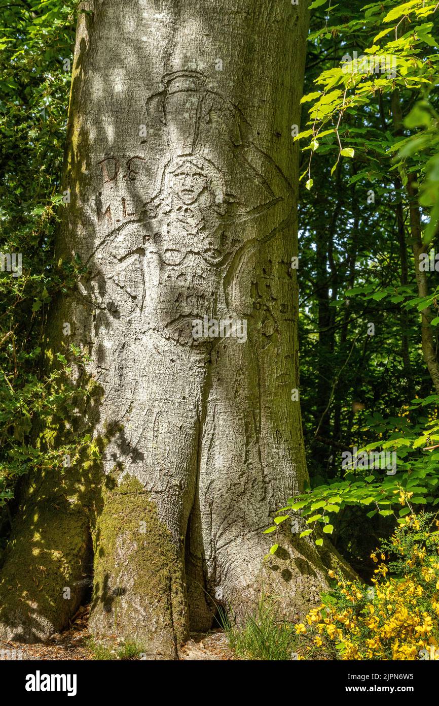 France, Seine Maritime, Arques la Bataille, Arques Forest, the Porteuse ...
