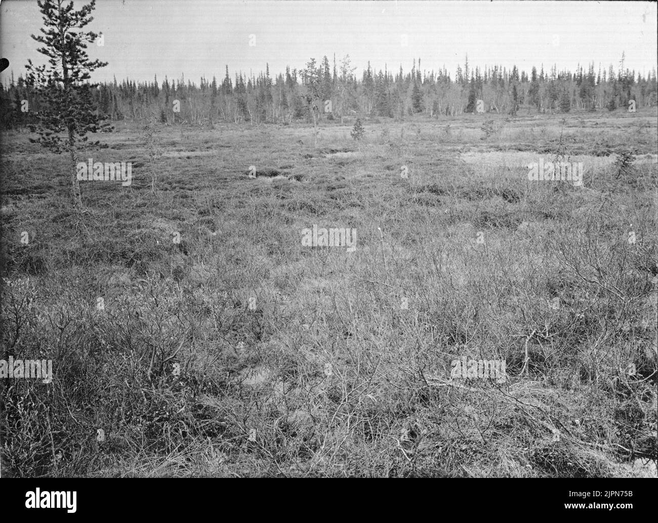 16 1914 Black and White Stock Photos & Images - Alamy