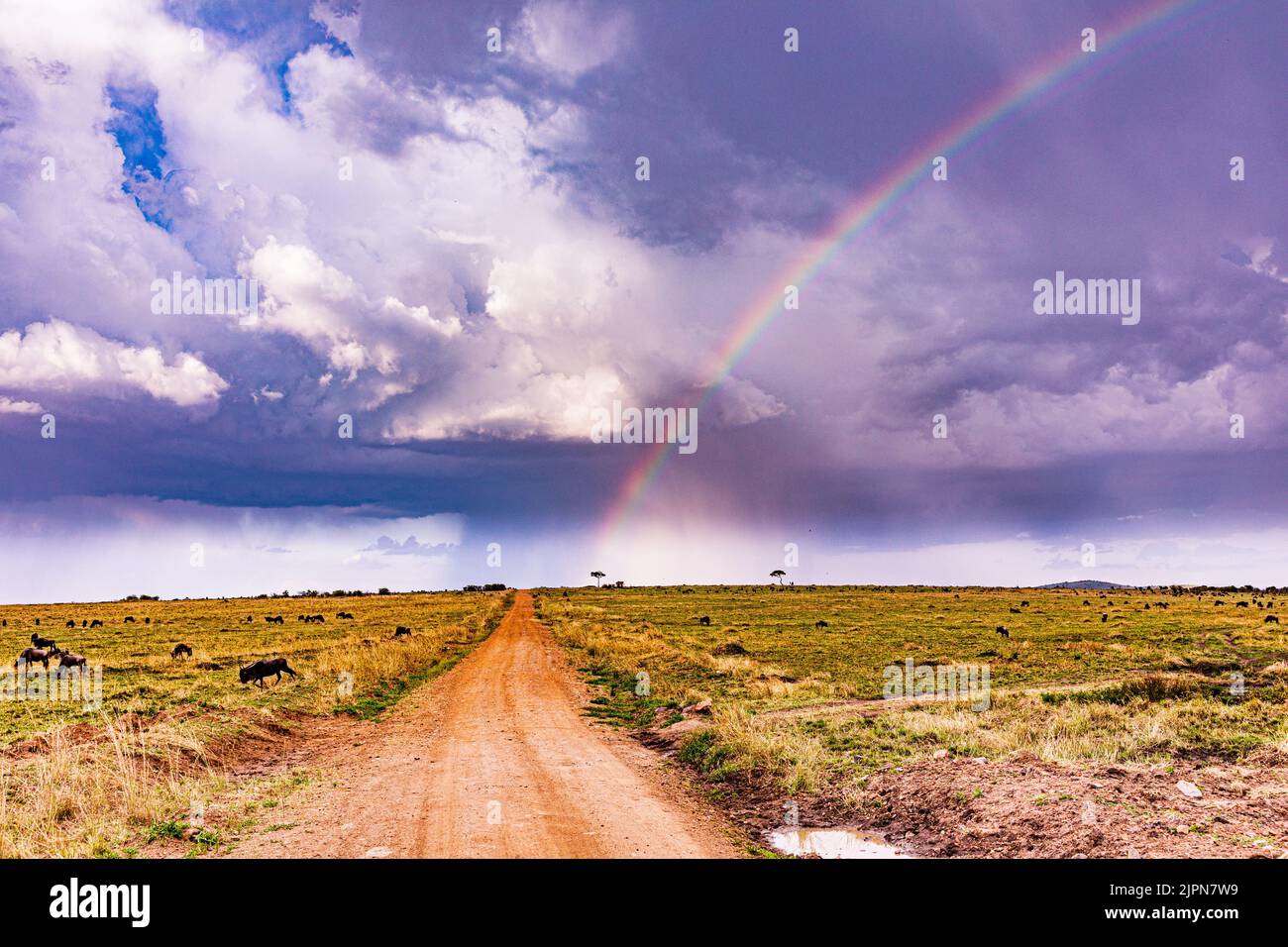 Rainbow Maasai Mara National Game Reserve Park Narok county Kenya East ...