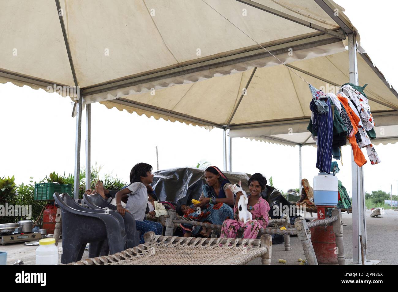 Pusta road hi-res stock photography and images - Alamy