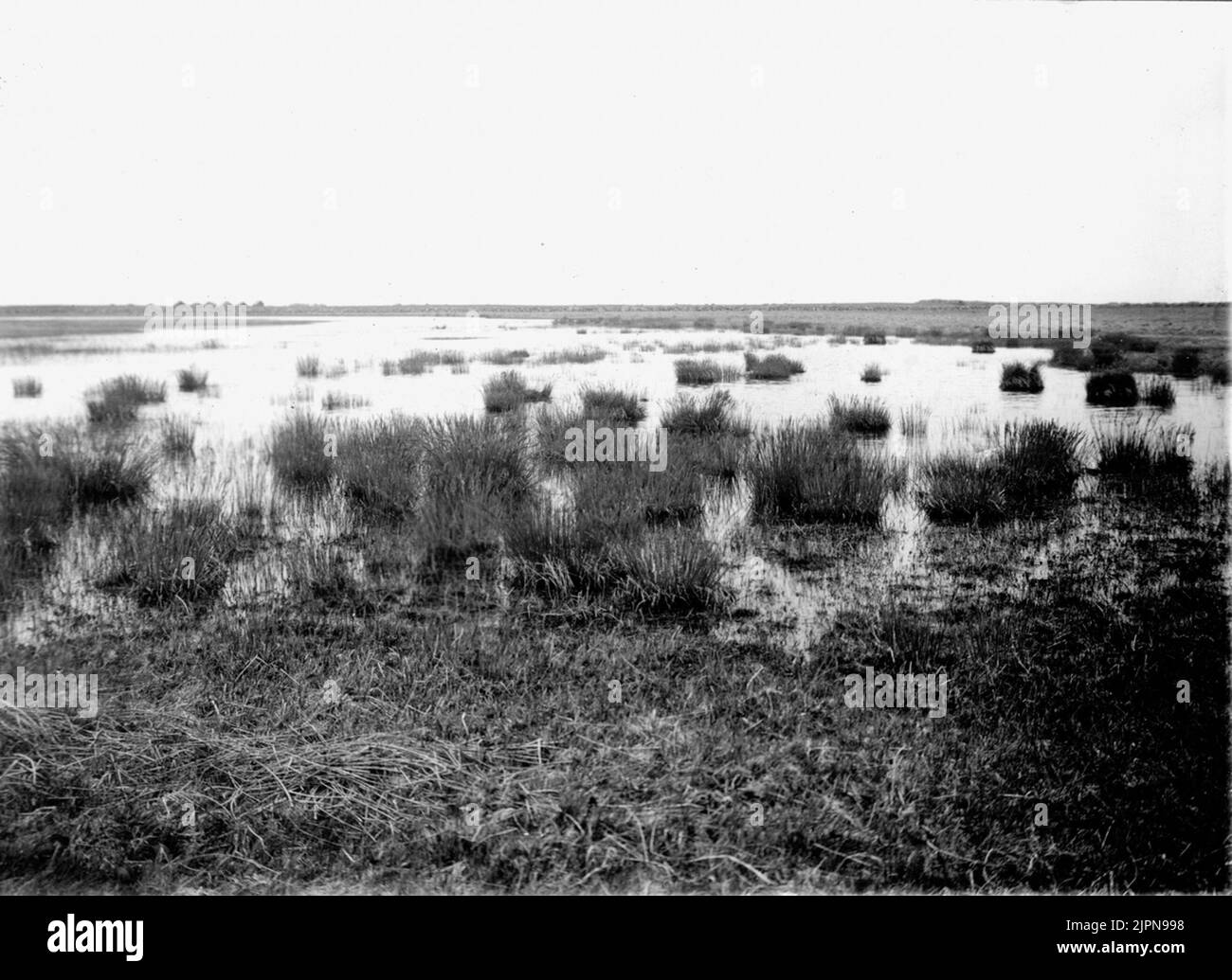 Vigg hi-res stock photography and images - Alamy