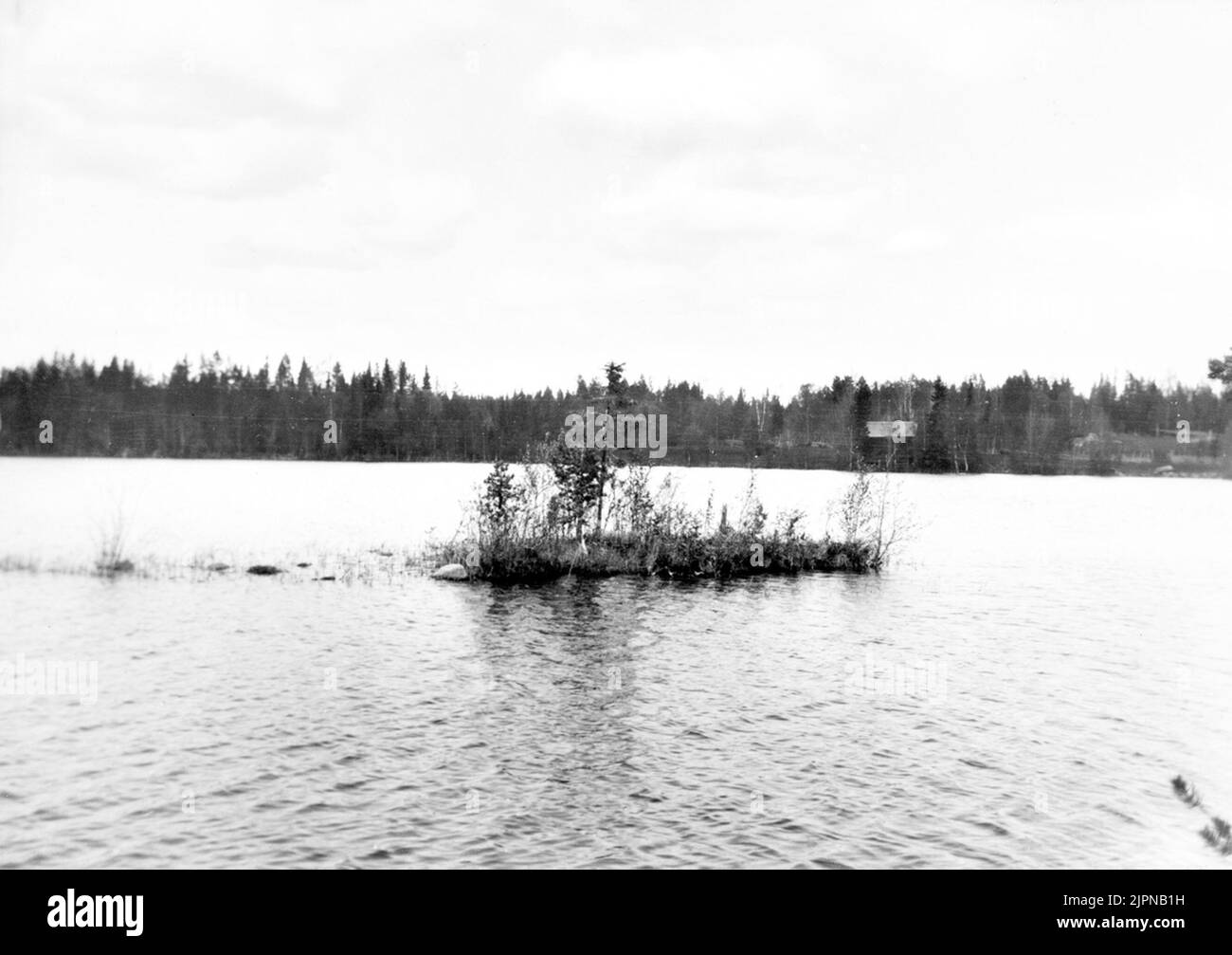 Biotope for Bergand (Aythya Marila) Biotop för Bergand (Aythya marila ...
