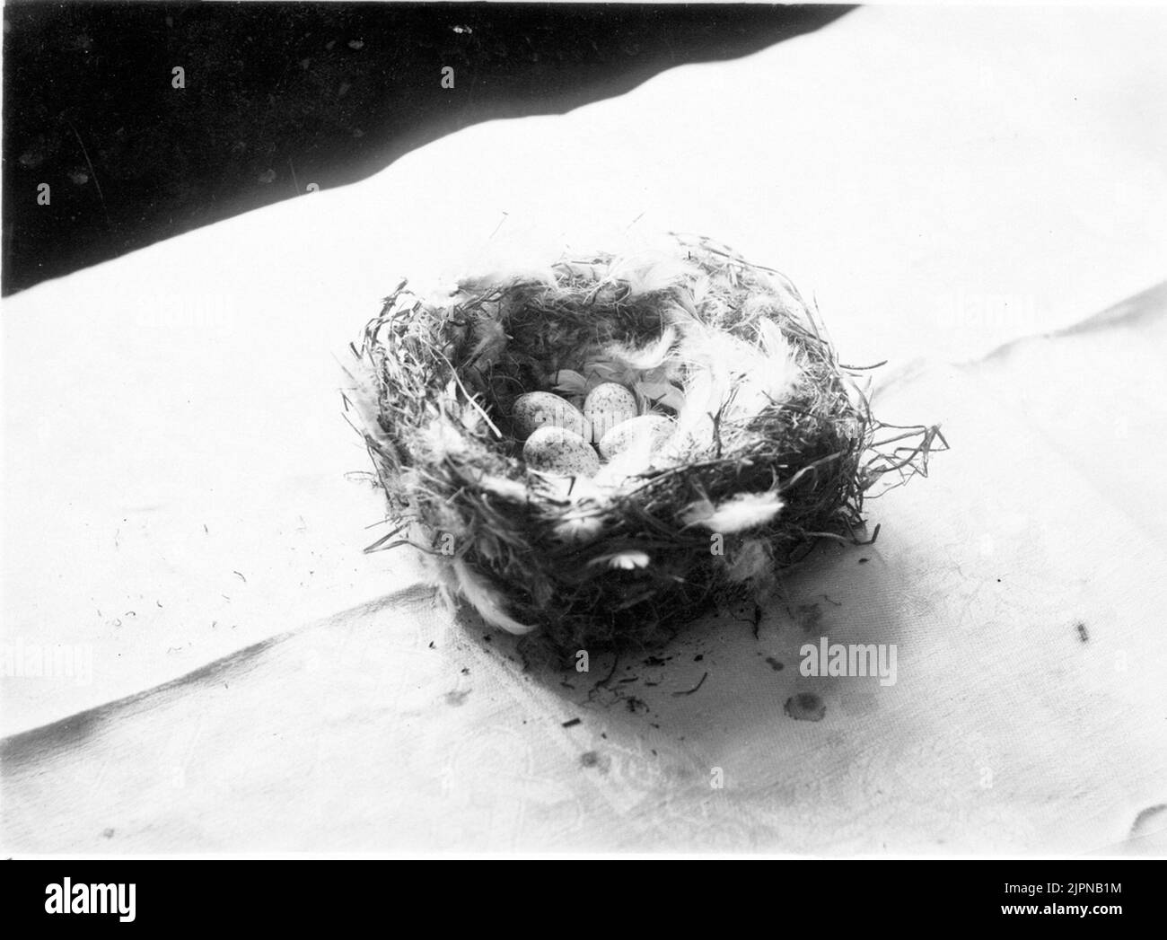 Juni 1900 hi-res stock photography and images - Alamy