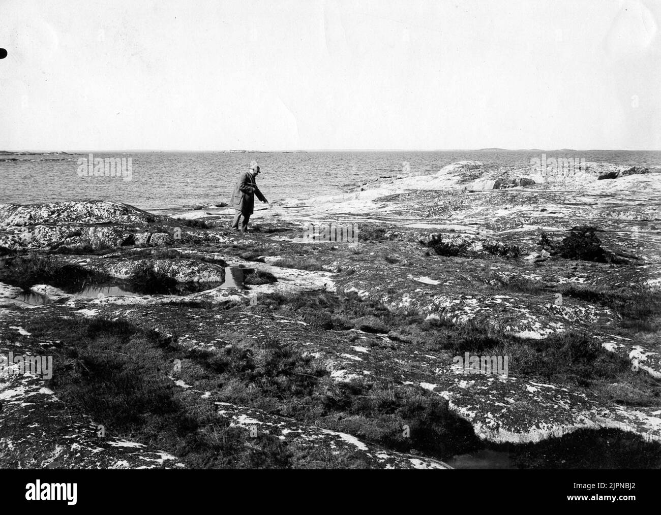 Liljefors points to the nest of lab, Lestris parasitica. 10/6 1914 ...
