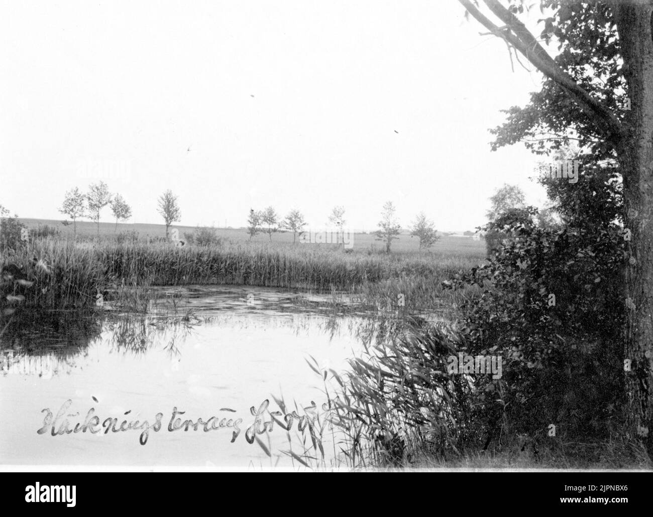 Biotop Black and White Stock Photos & Images - Alamy