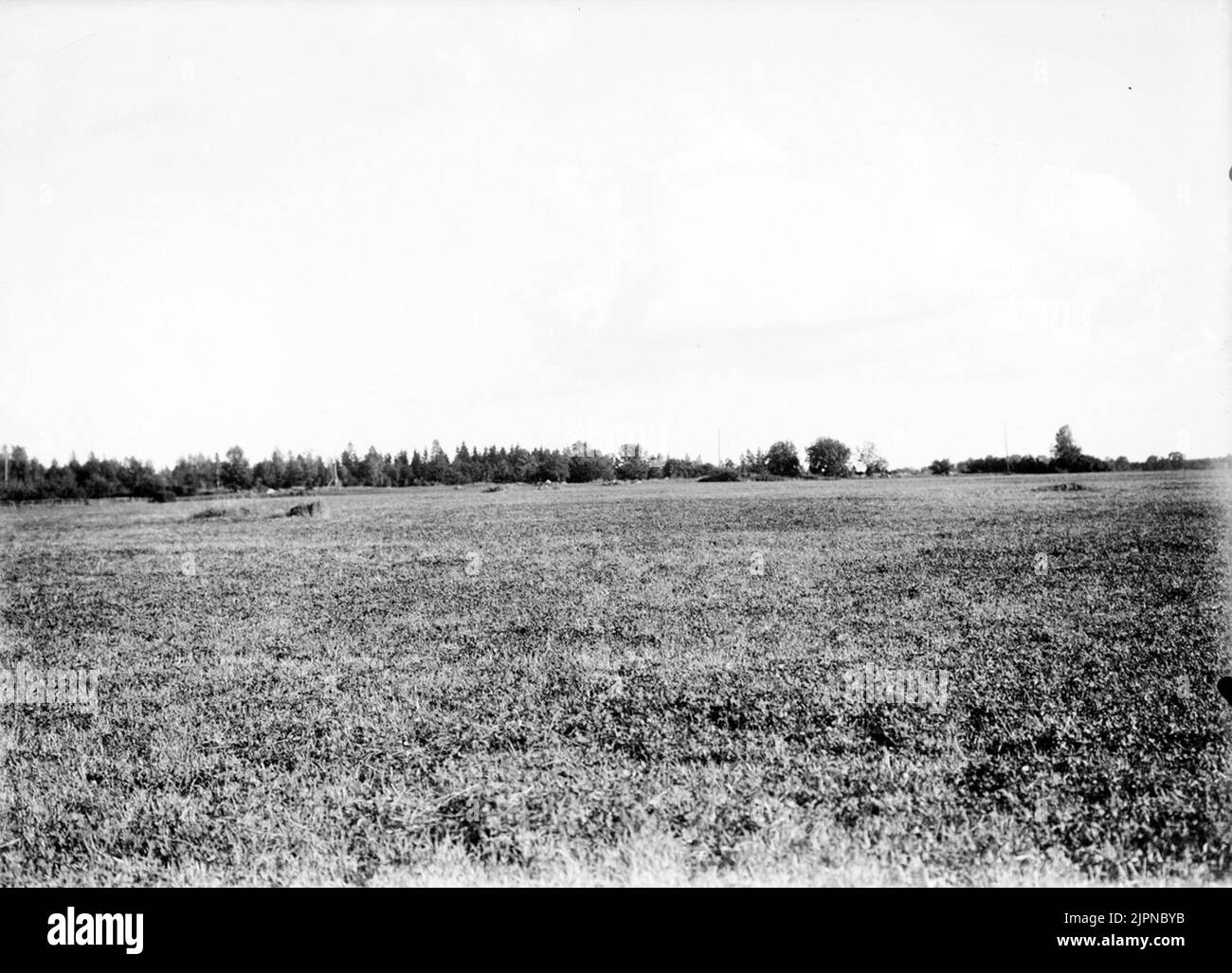 Biotop Black and White Stock Photos & Images - Alamy