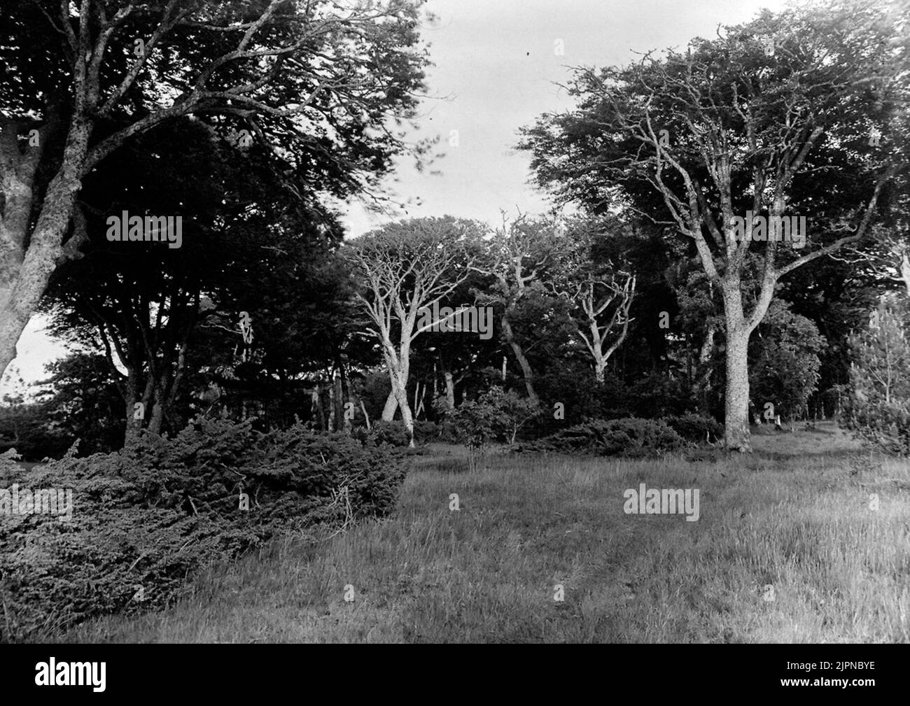 Twentieth of june hi-res stock photography and images - Alamy