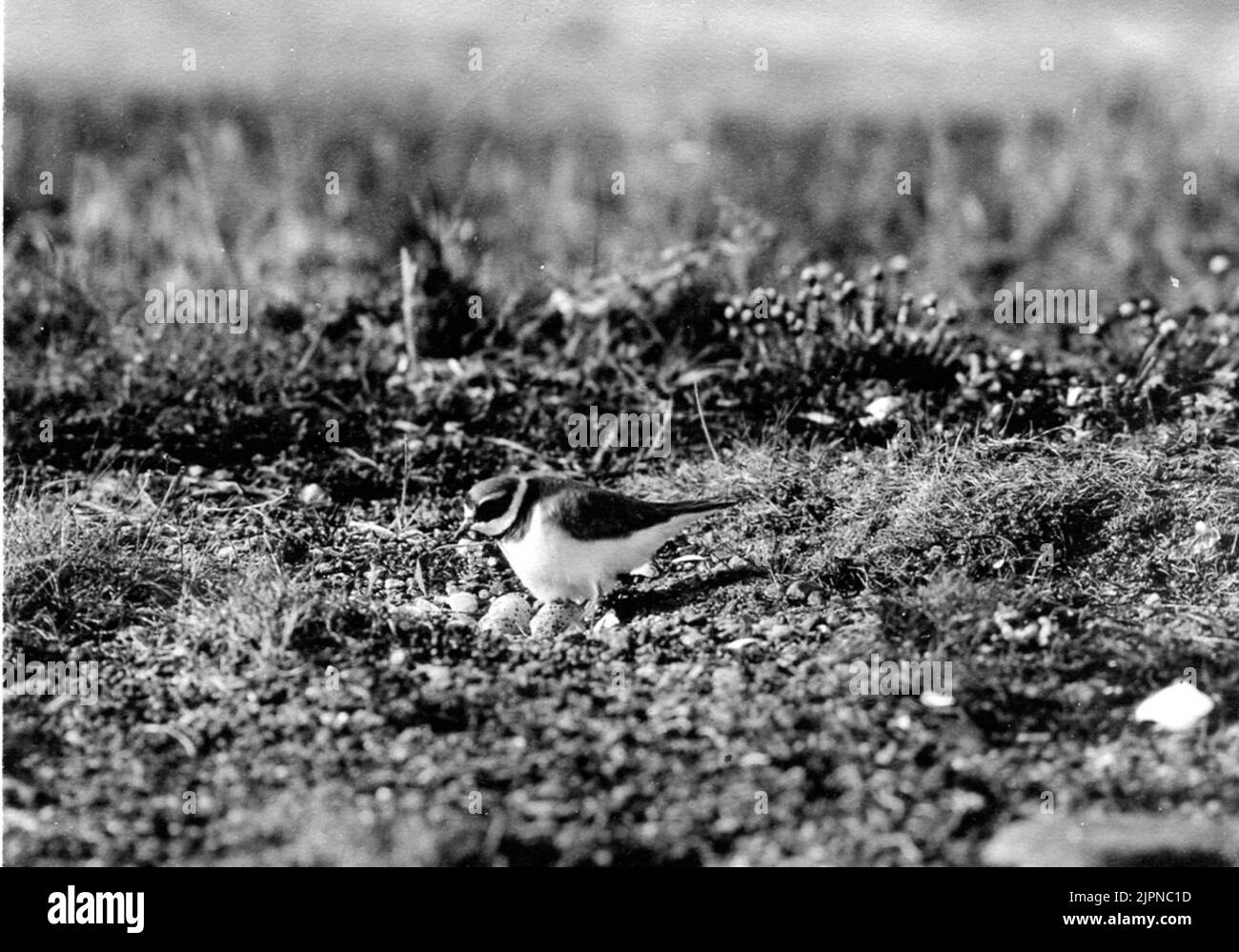 About 1927 photo Black and White Stock Photos & Images - Alamy