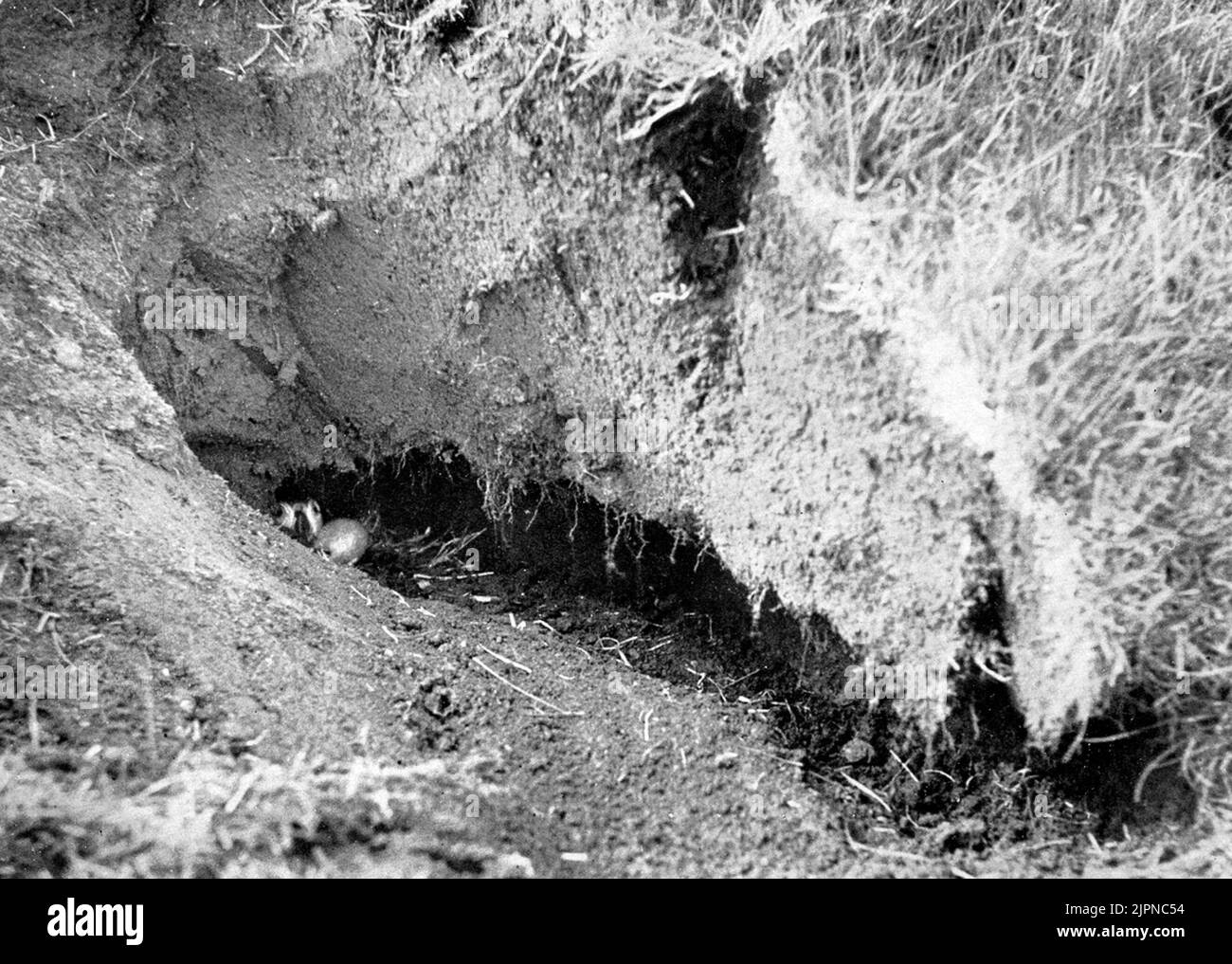 Färöarna hi-res stock photography and images - Alamy