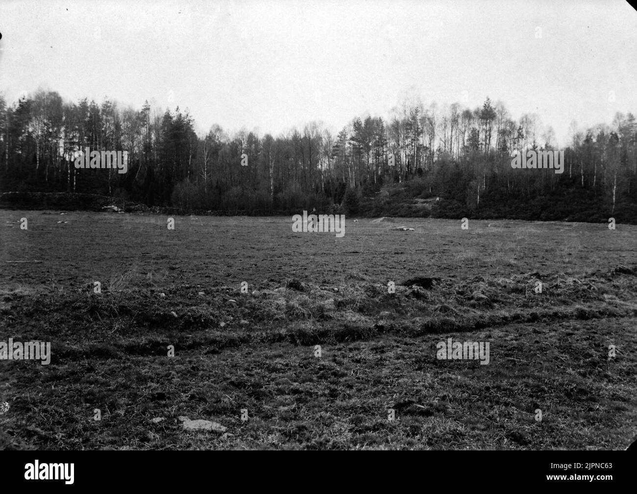 Crochet terrain for tree larch. May 13, 1917. Häckningsterräng för ...